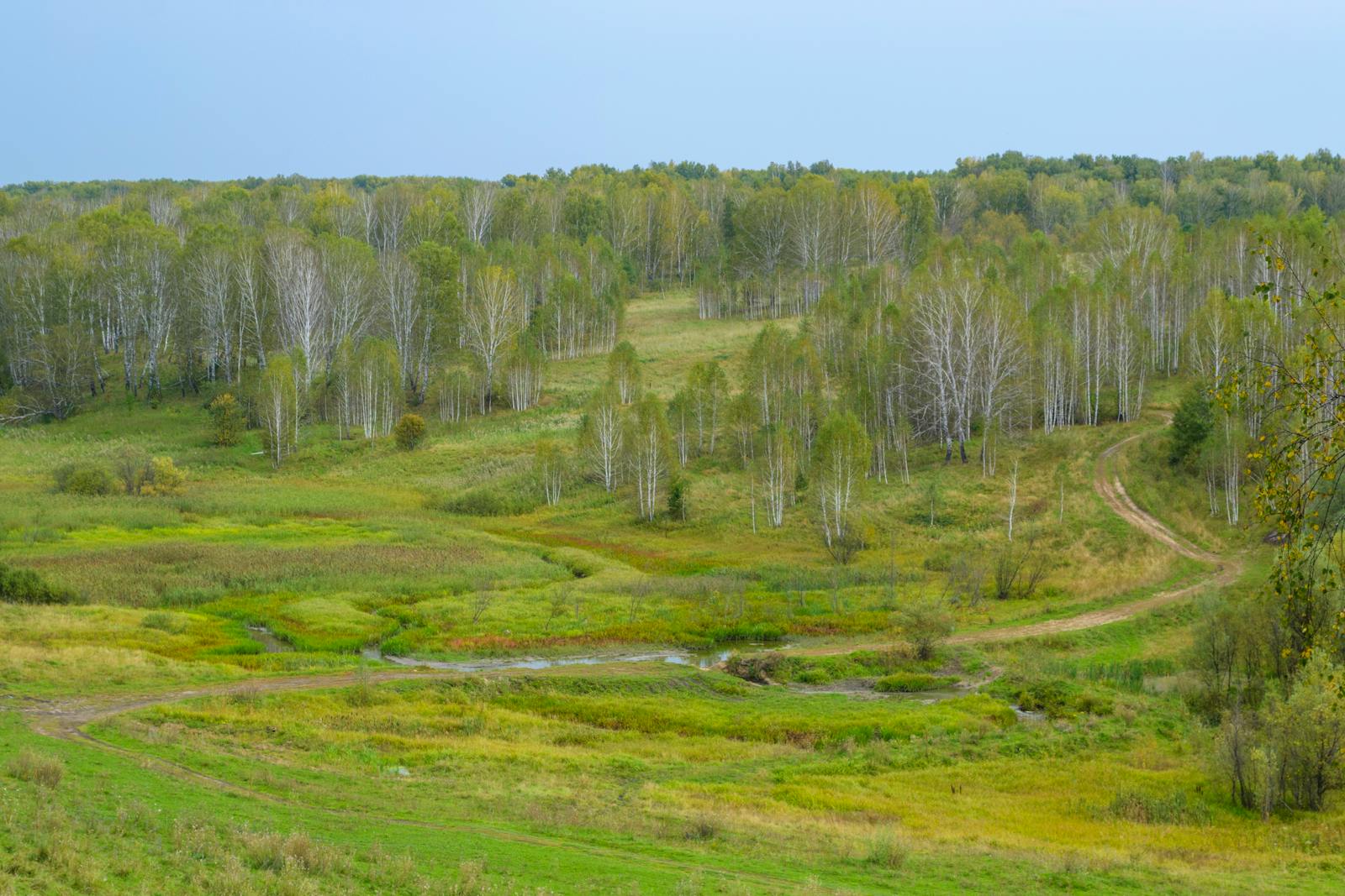 Free Pick Photos, Download The BEST Free Free Pick Stock Photos & HD Images