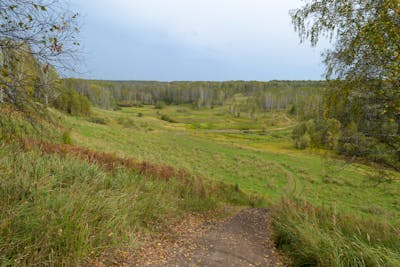 Free Pick Photos, Download The BEST Free Free Pick Stock Photos & HD Images