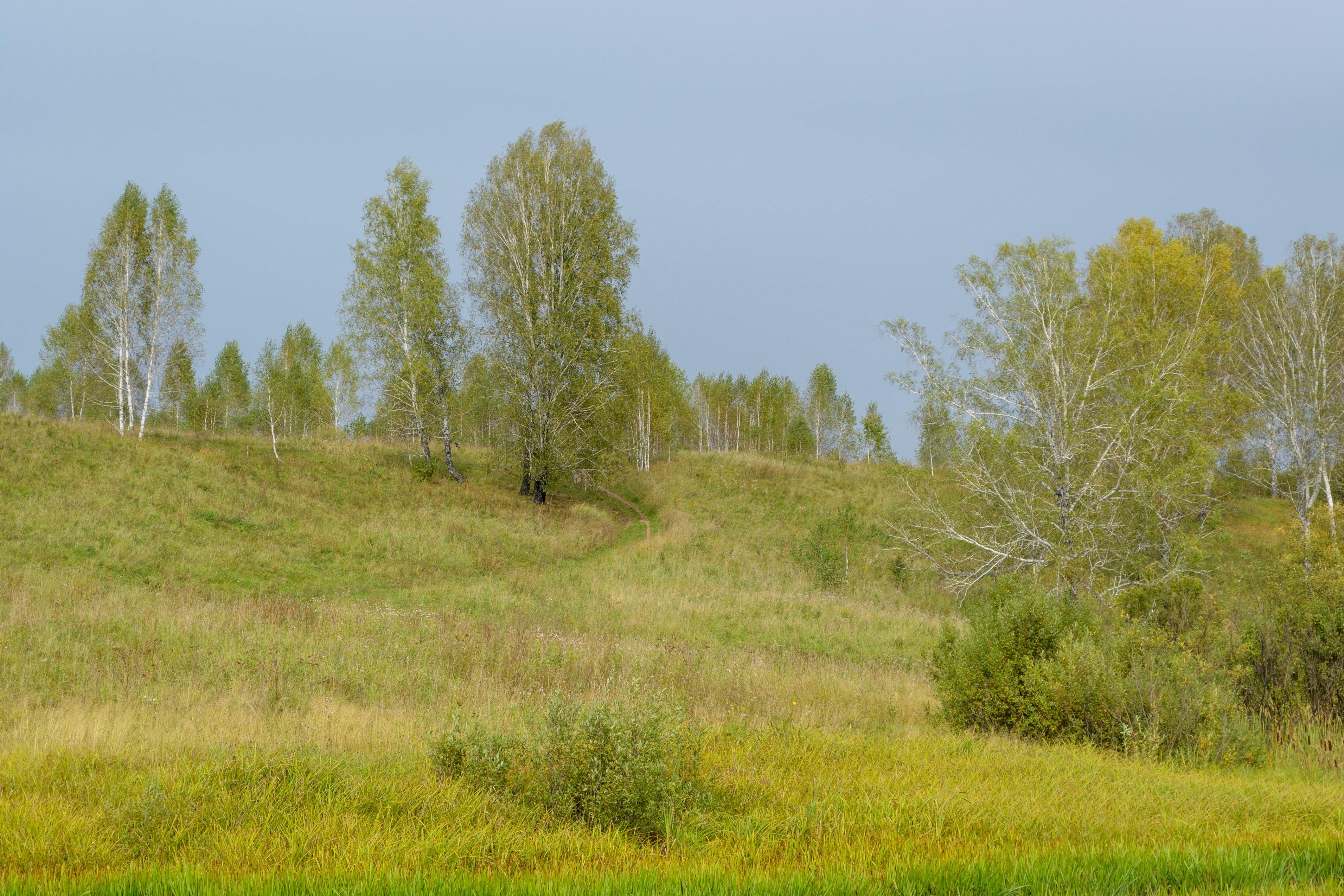 Free Thumbnail Photos, Download The BEST Free Free Thumbnail Stock ...