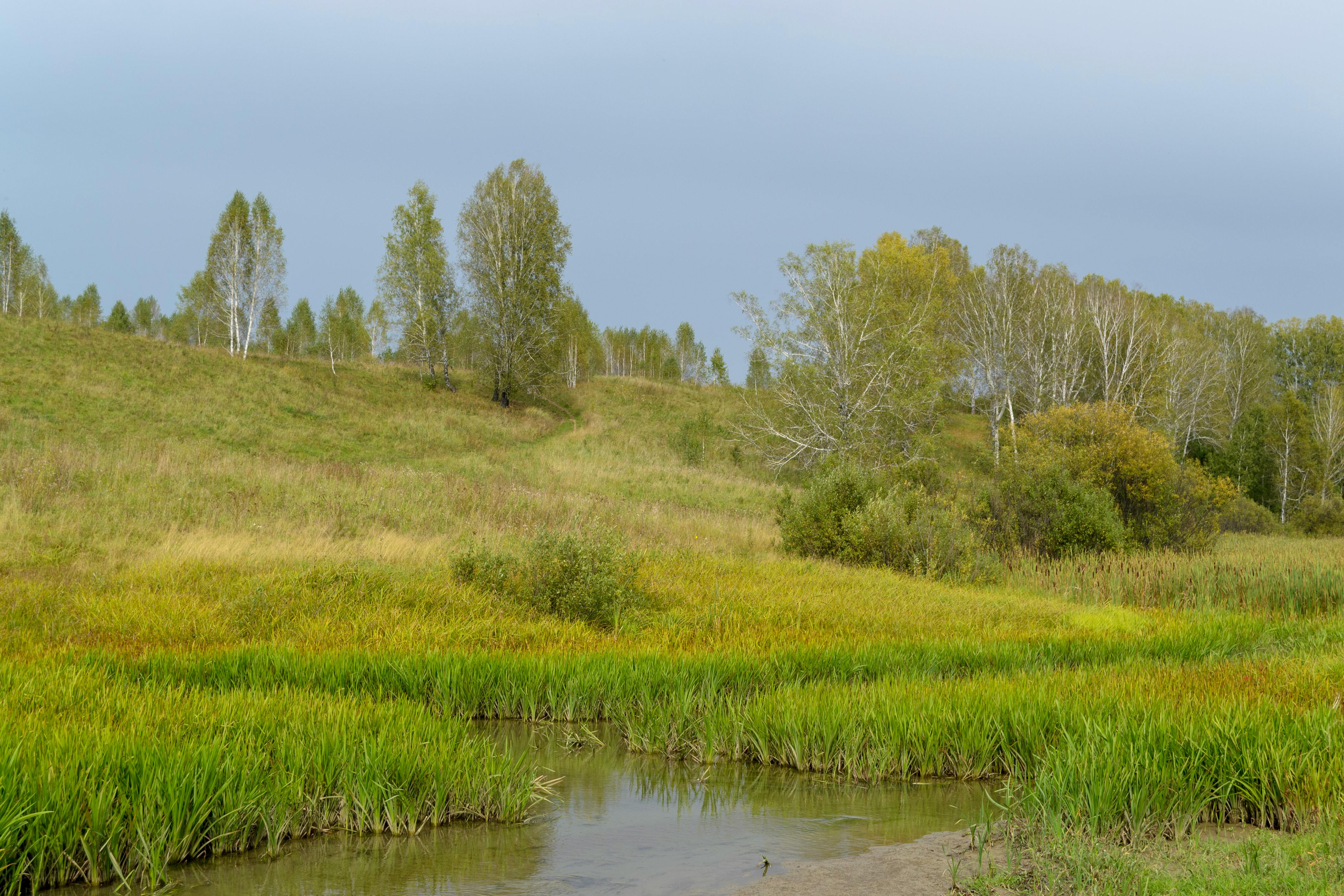 Free Thumbnail Photos, Download The BEST Free Free Thumbnail Stock ...