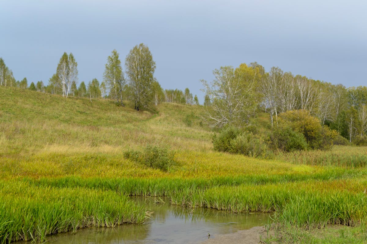 Free Pick Photos, Download The BEST Free Free Pick Stock Photos & HD Images