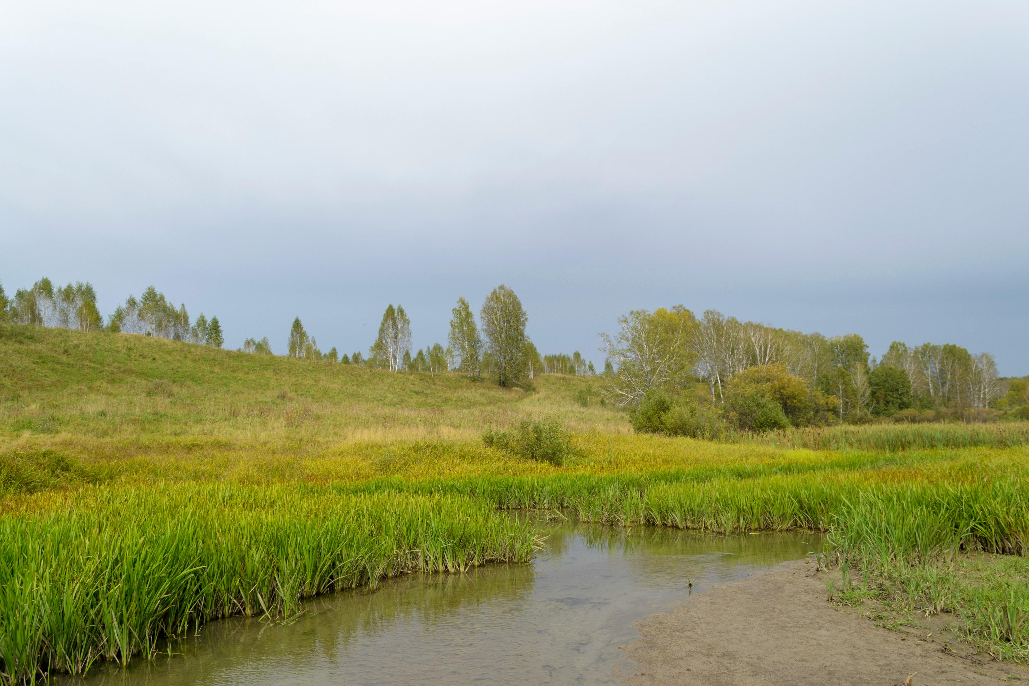 Free Thumbnail Photos, Download The BEST Free Free Thumbnail Stock ...