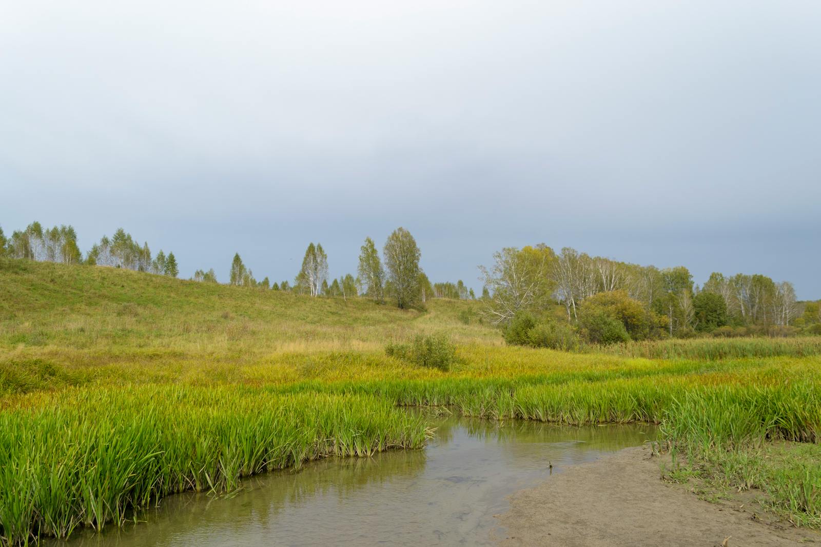 Free Thumbnail Photos, Download The BEST Free Free Thumbnail Stock ...