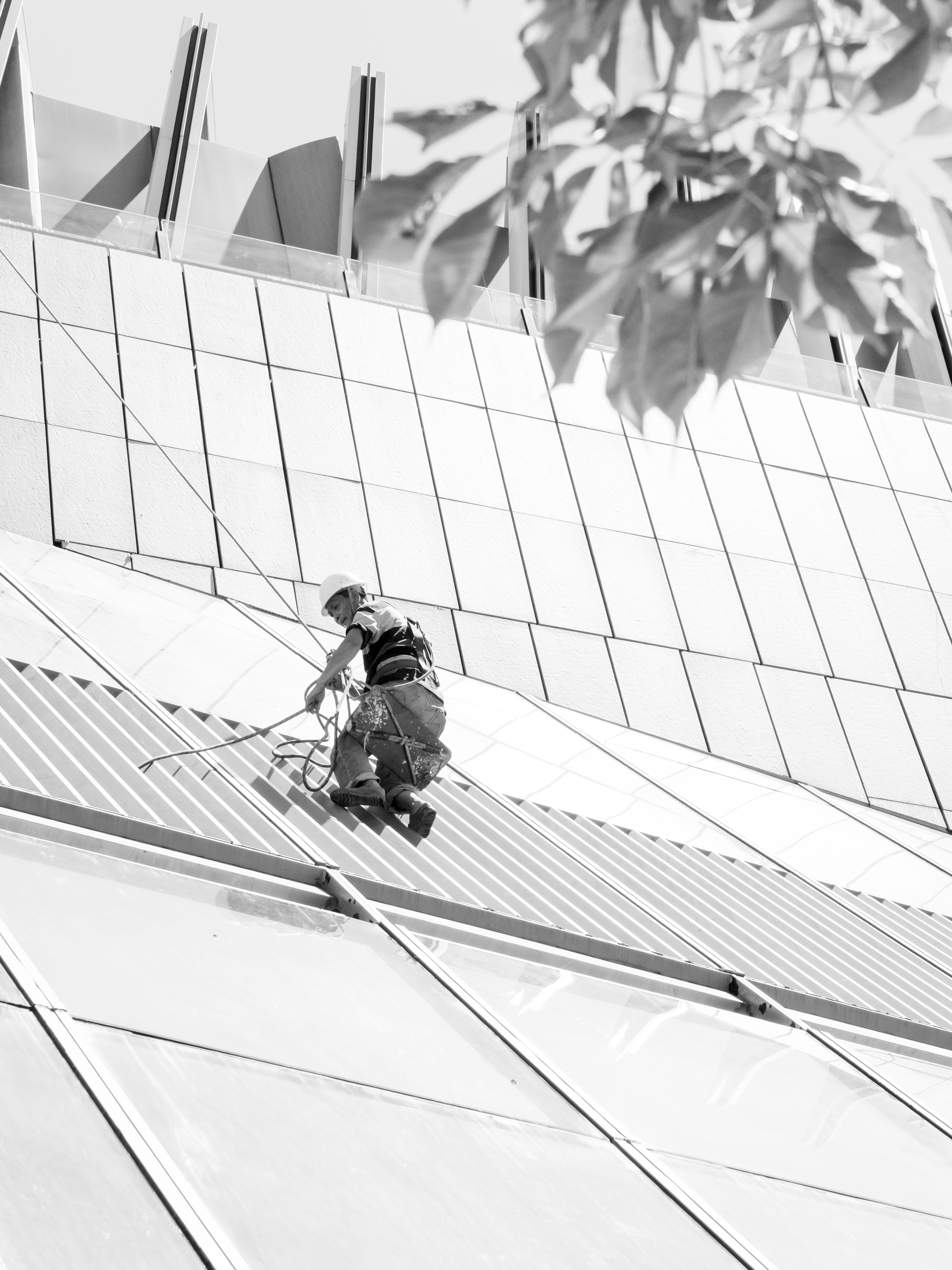 Worker Cleaning Modern Glass Building Facade · Free Stock Photo