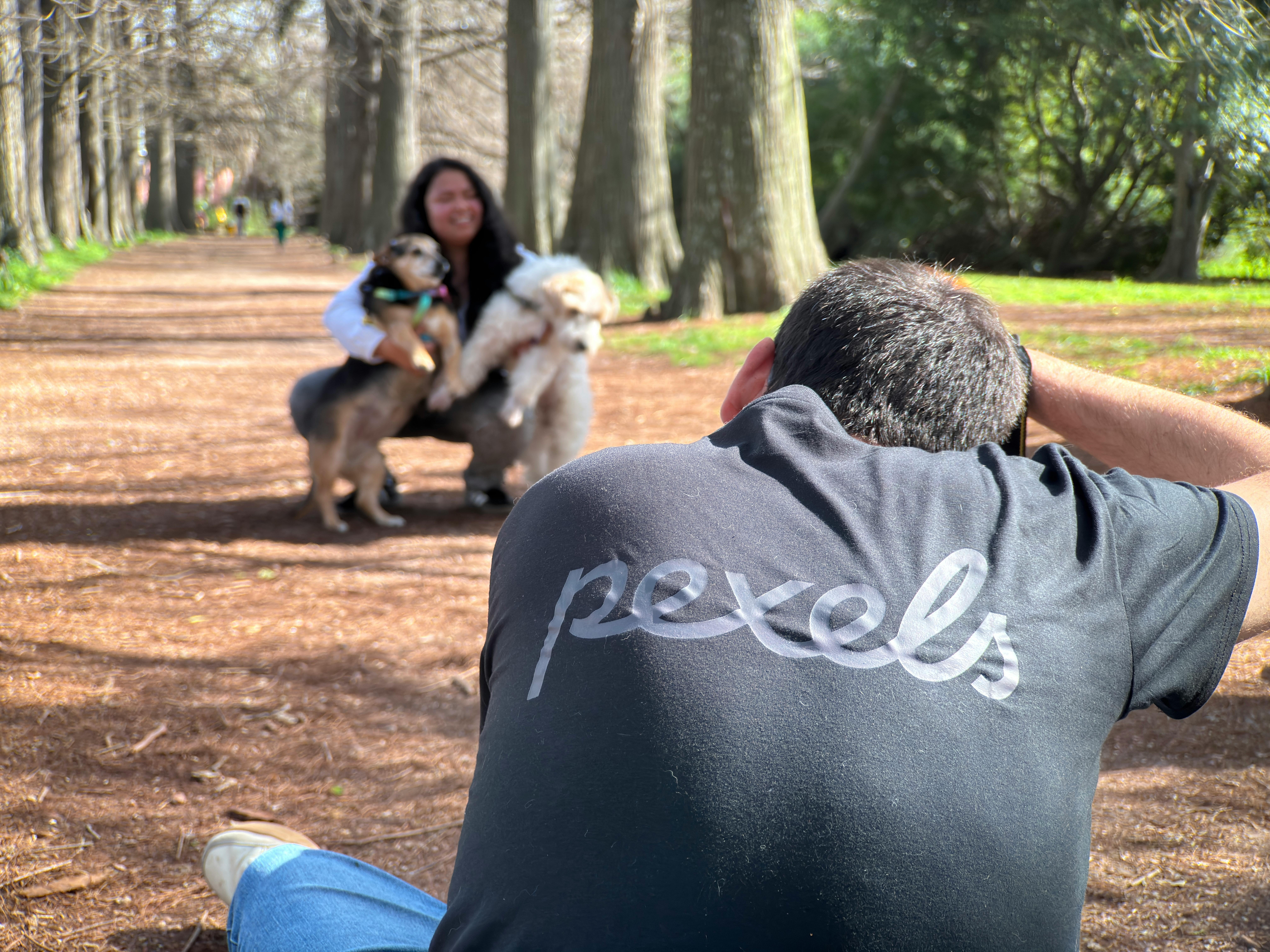 Pibble+Meme+Dog Photos, Download The BEST Free Pibble+Meme+Dog Stock ...