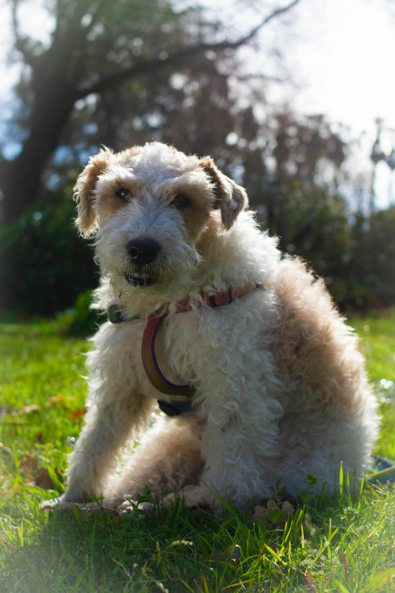 Cute+Pokies Photos, Download The BEST Free Cute+Pokies Stock Photos ...