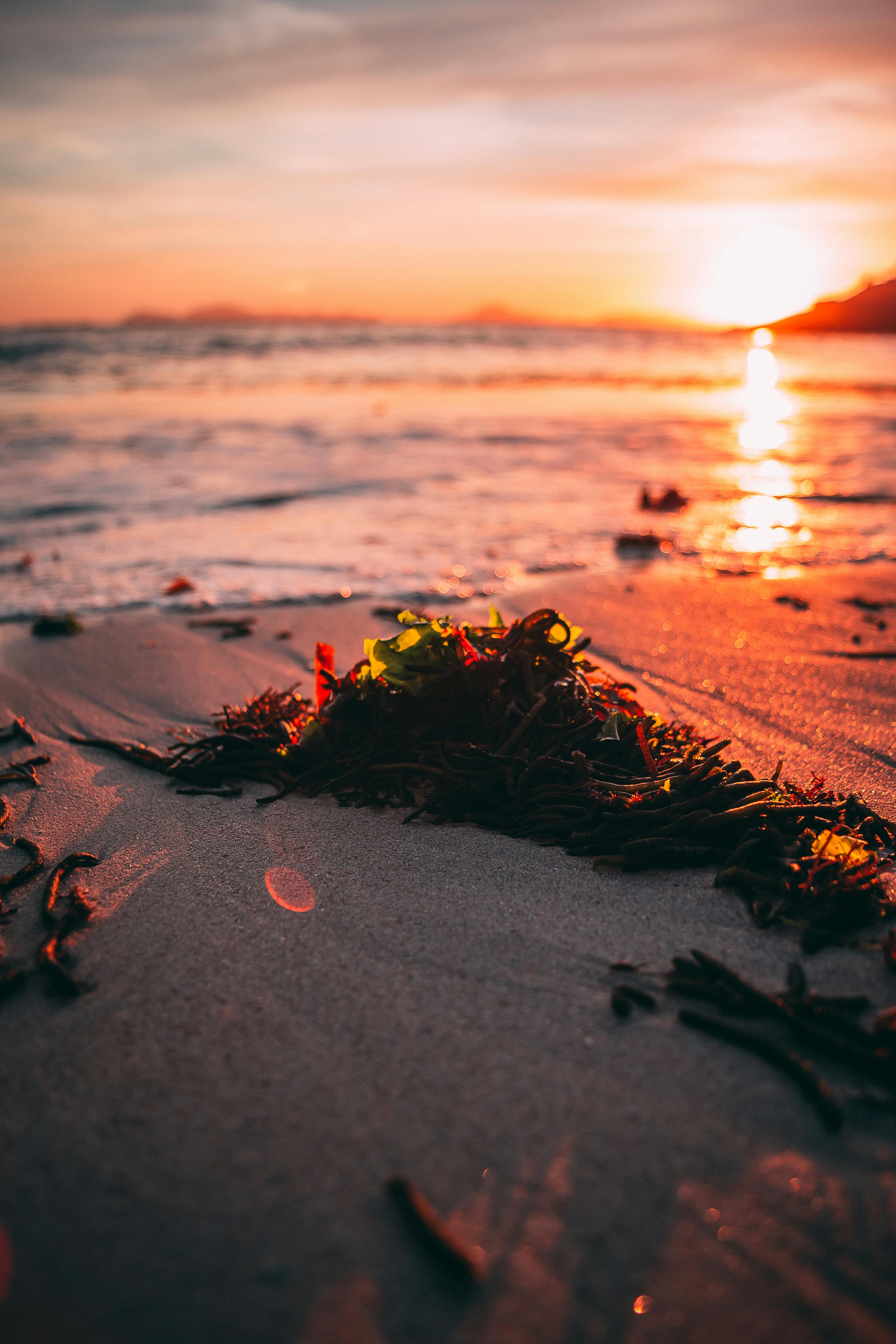 Ave Calvar Martinez · 摄影