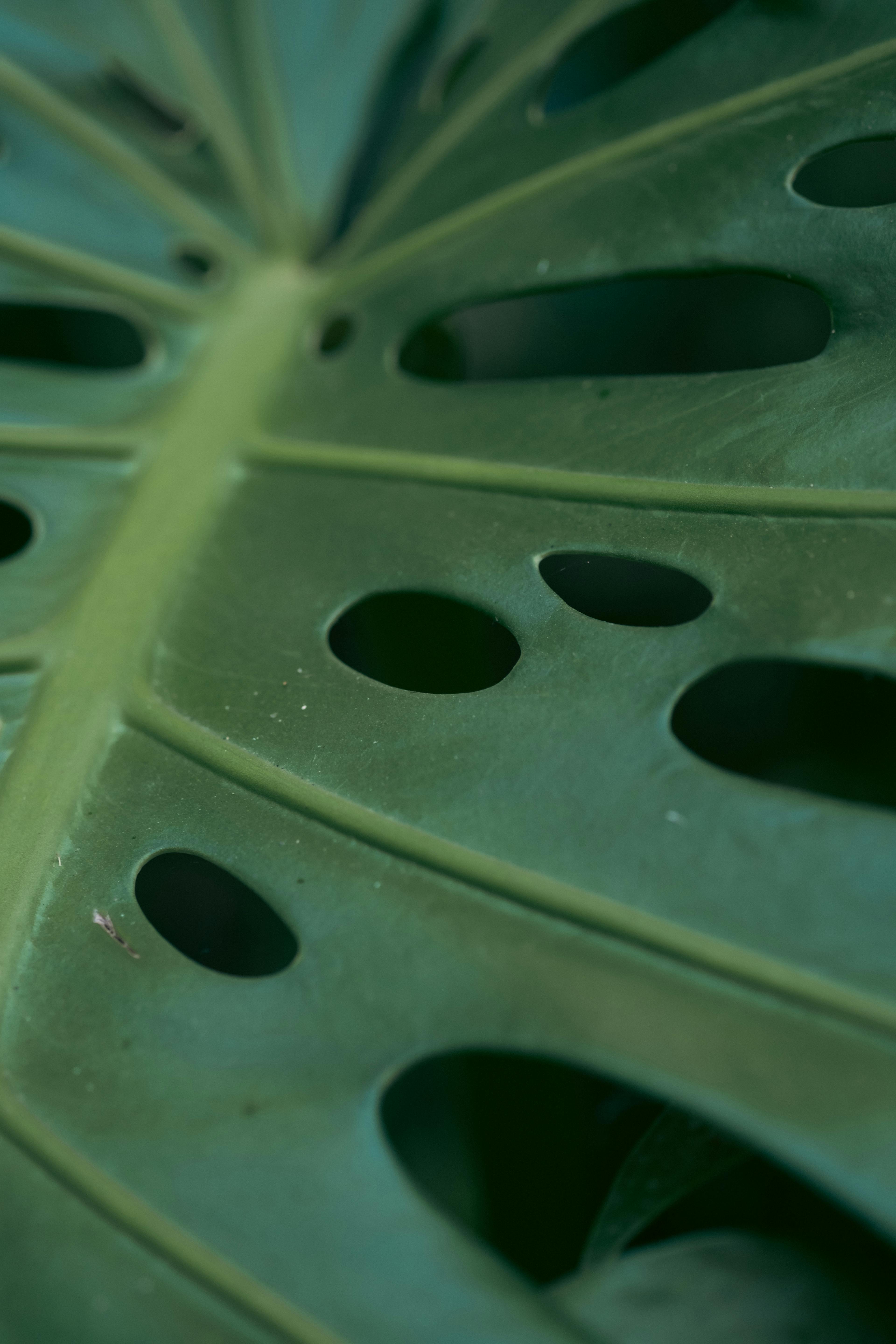 Philosophy Background Photos, Download The BEST Free Philosophy ...