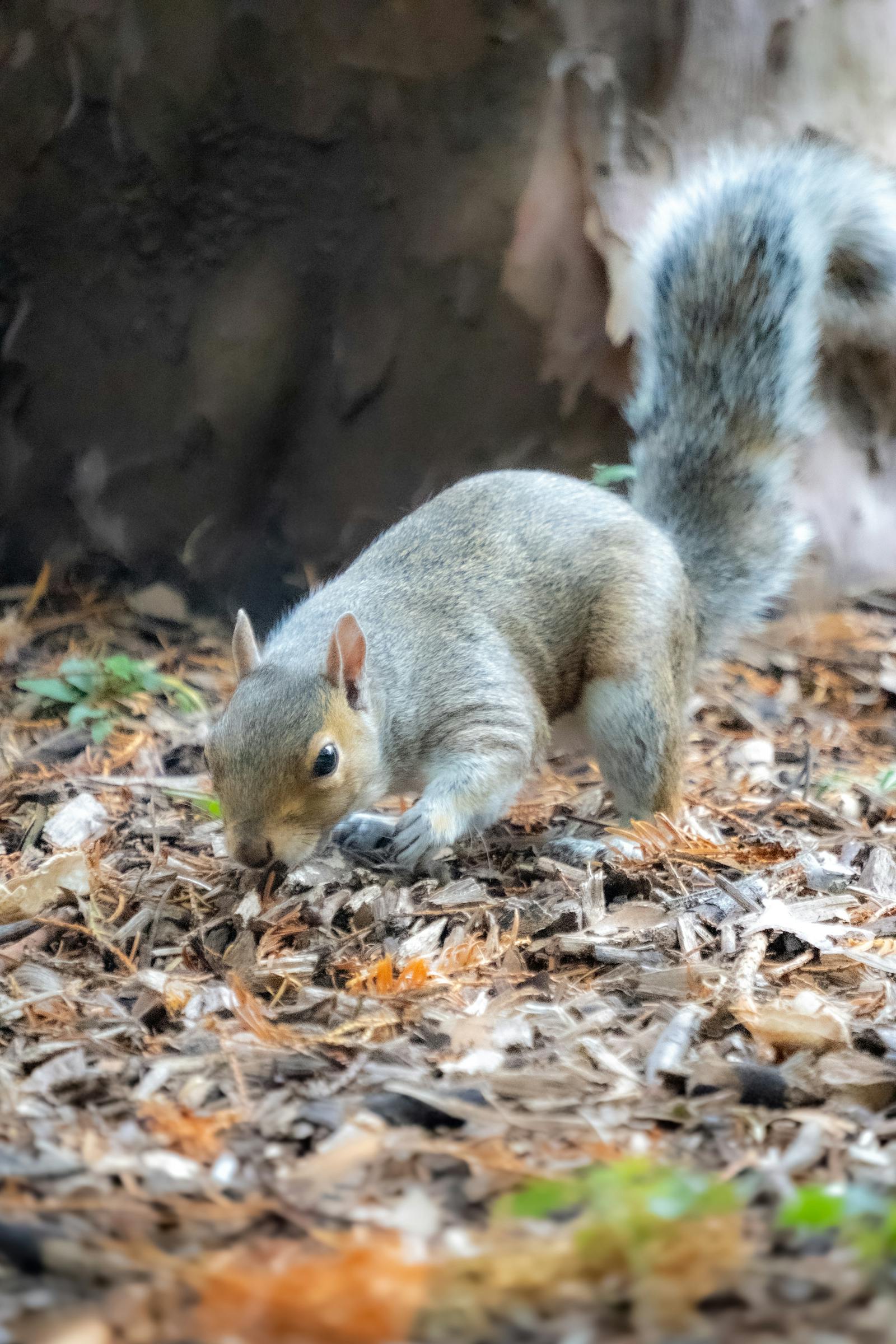 Exploring Photos, Download The BEST Free Exploring Stock Photos & HD Images