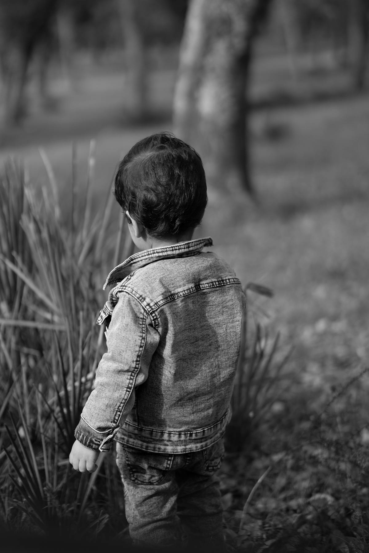 Exploring Photos, Download The BEST Free Exploring Stock Photos & HD Images