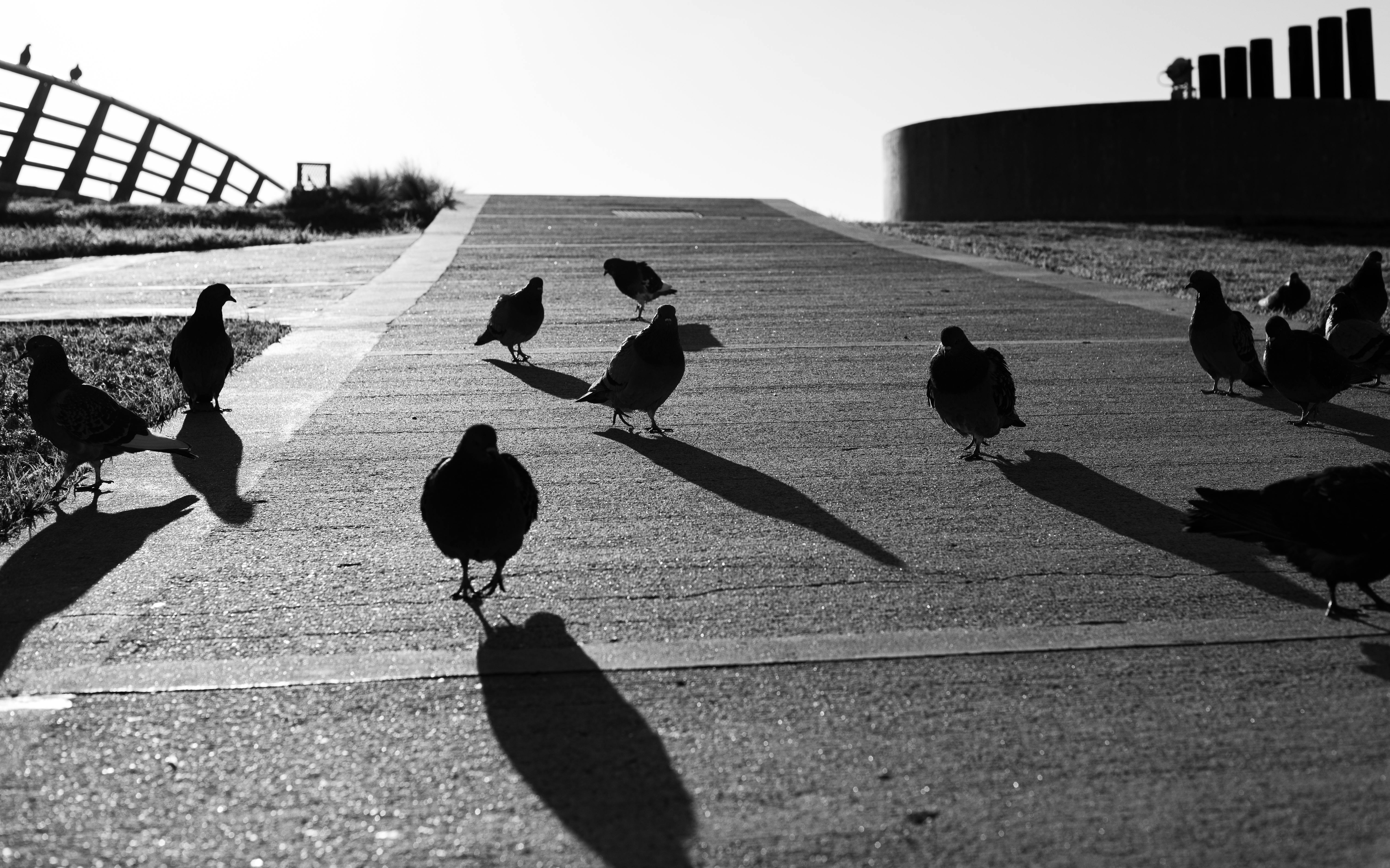 Pictures+Of+La+Boo+Boo Photos, Download The BEST Free Pictures+Of+La ...