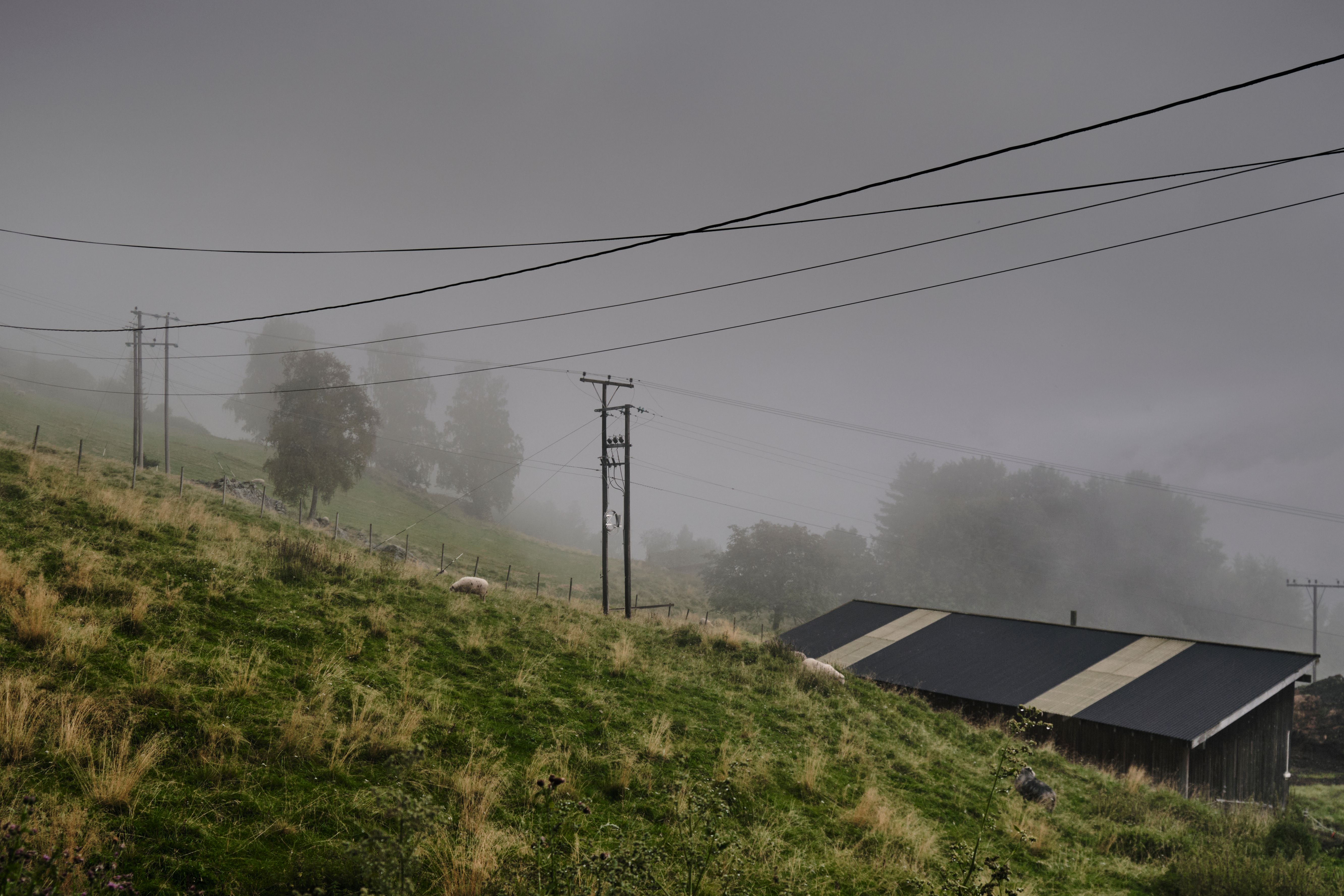 Foggy Sky Photos, Download The BEST Free Foggy Sky Stock Photos & HD Images