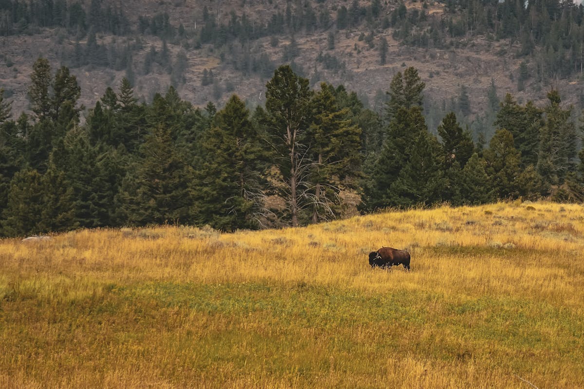 Prairie Photos, Download The BEST Free Prairie Stock Photos & HD Images