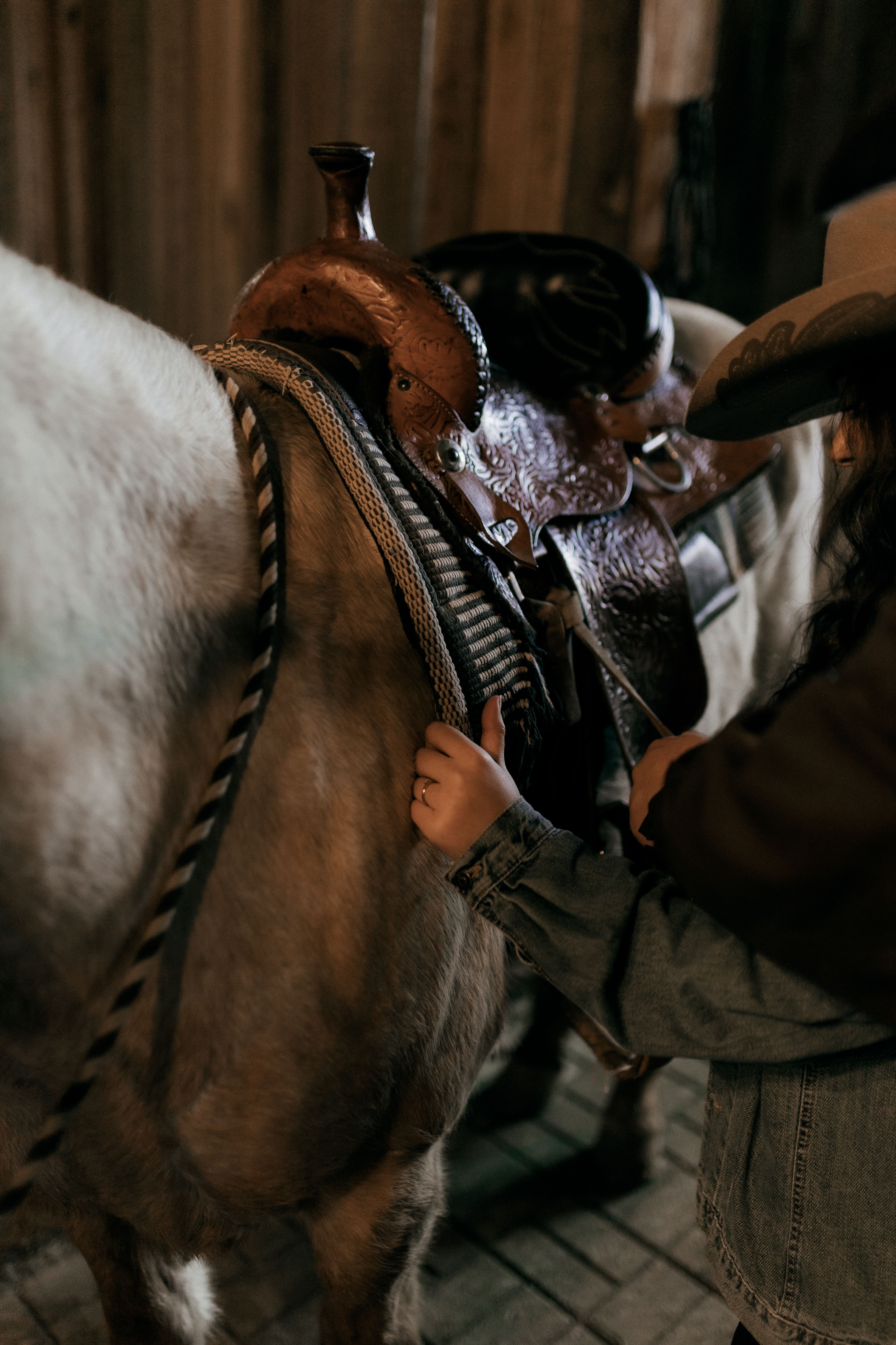Saddling Up A Horse Photos, Download The BEST Free Saddling Up A Horse ...