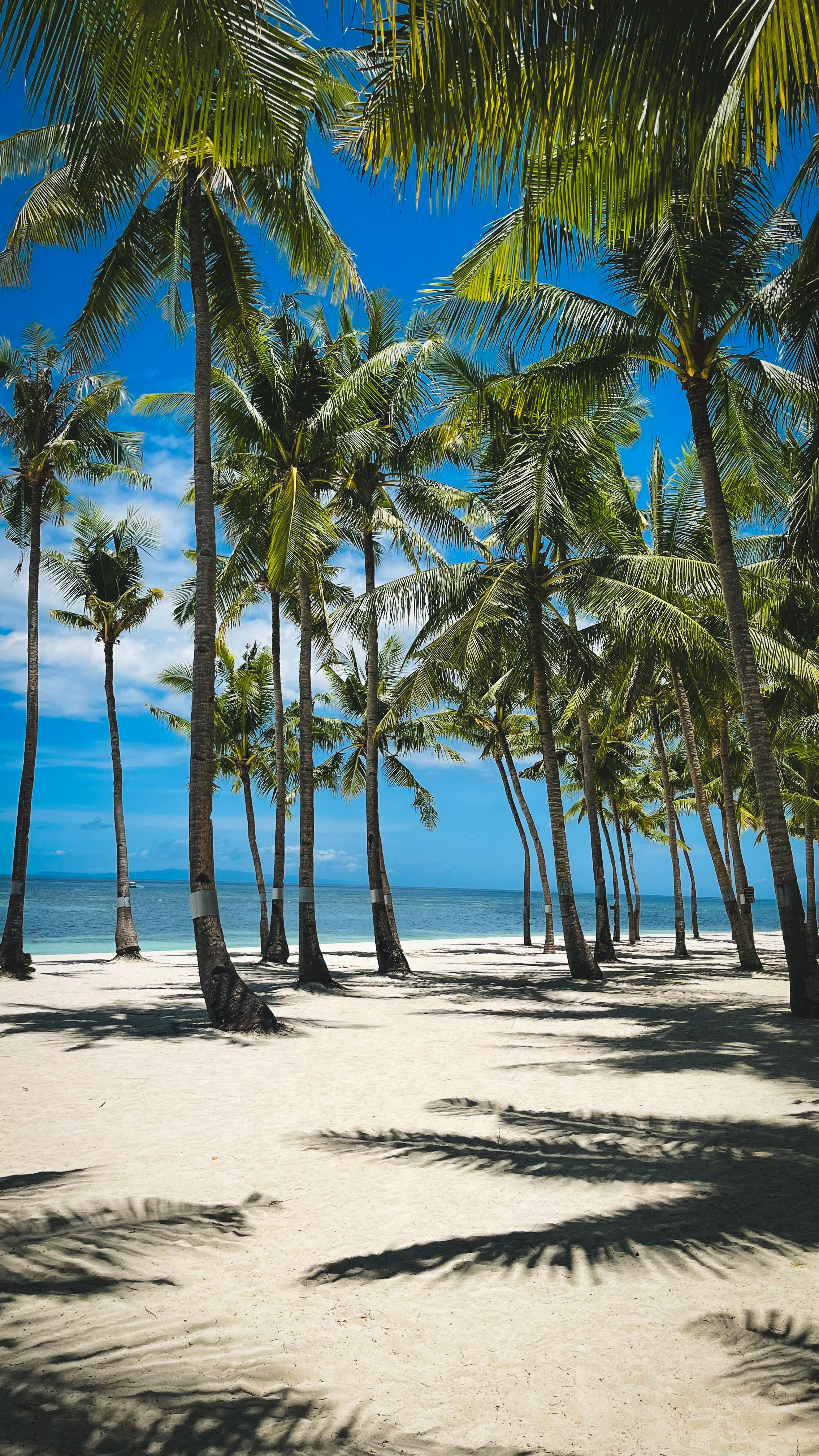 Spokojny Hamak Plażowy W Central Visayas · Darmowe zdjęcie z galerii