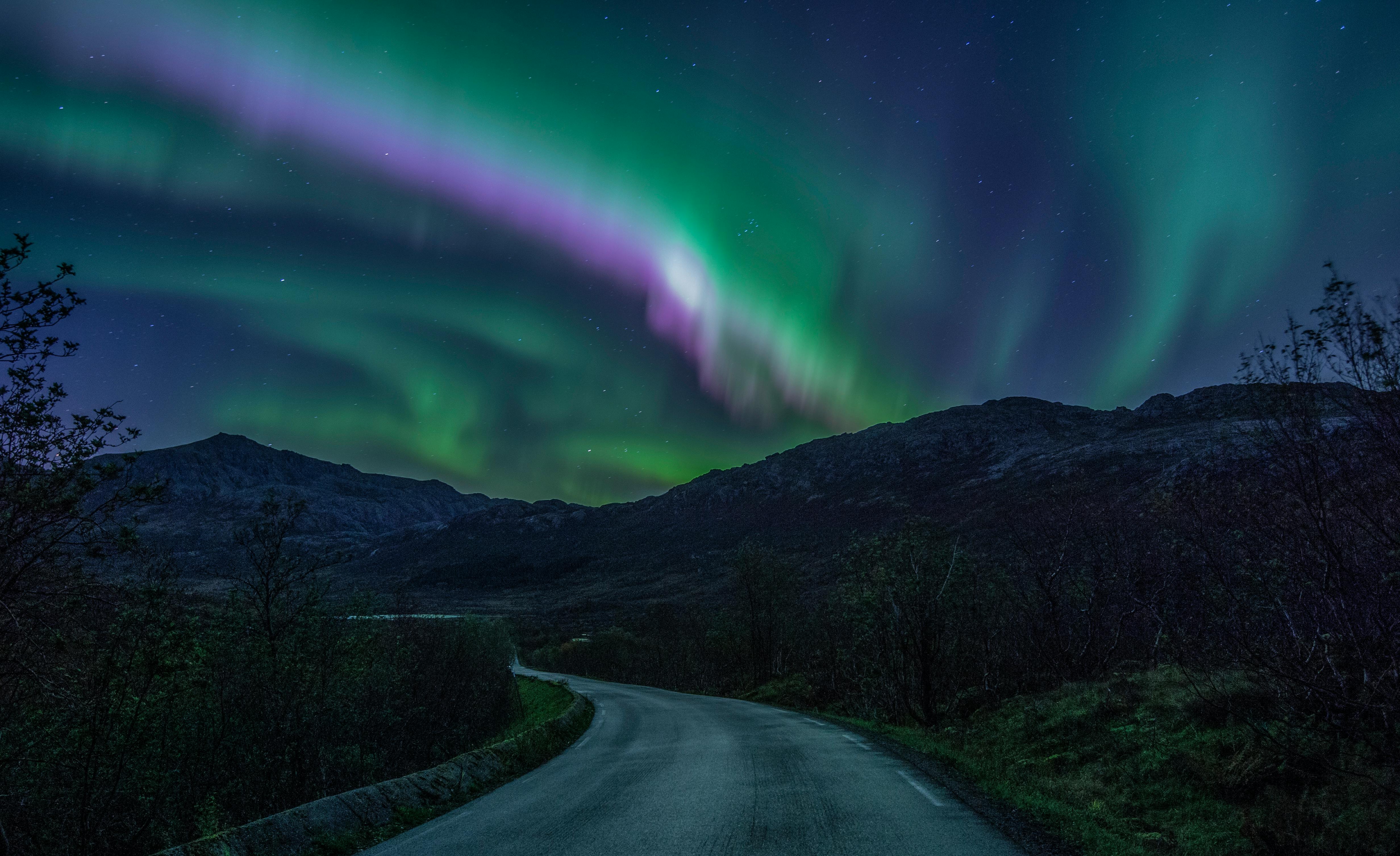200+ Best Aurora Photos · 100% Free Download · Pexels Stock Photos