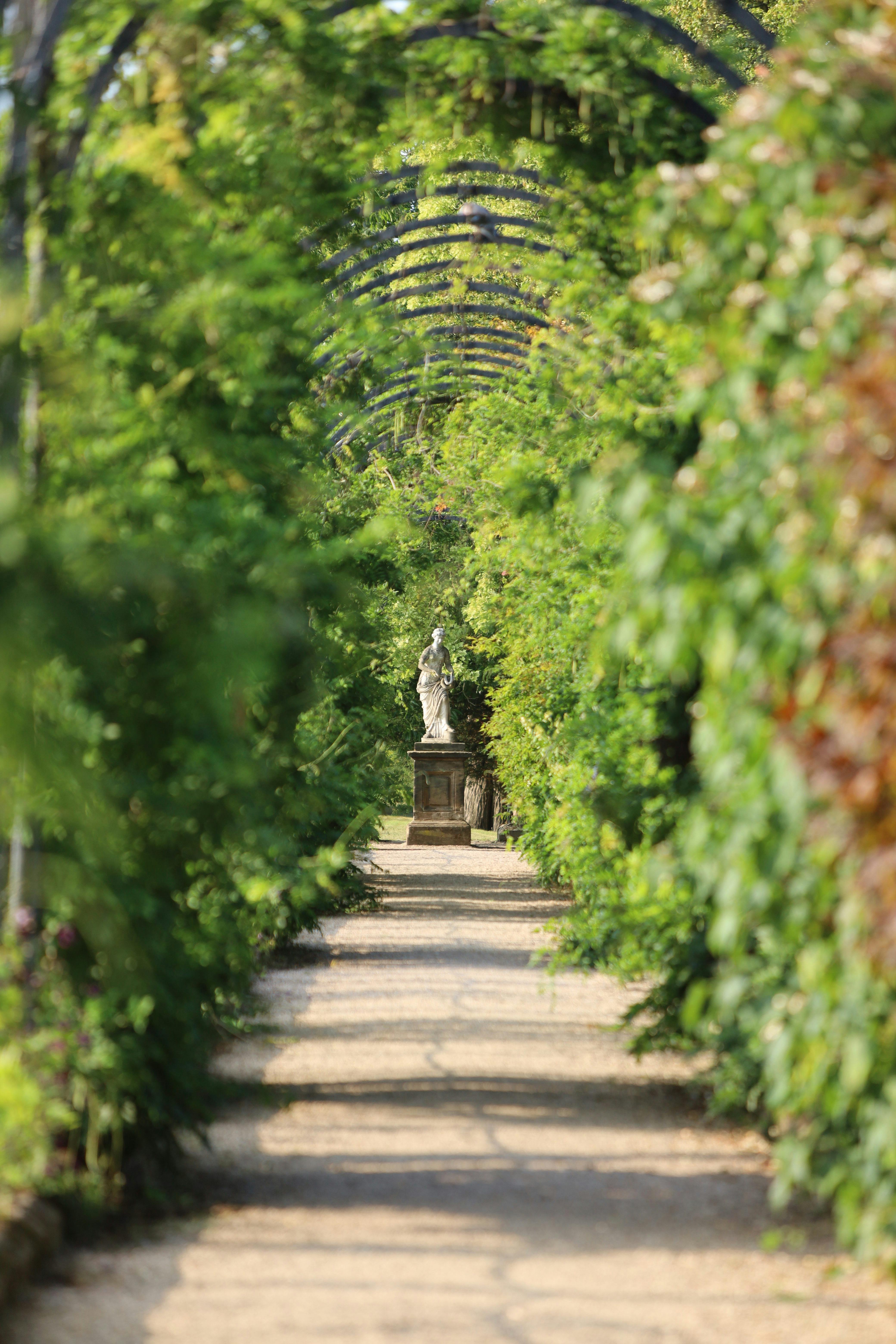 Funeral Frame Photos, Download The BEST Free Funeral Frame Stock Photos ...