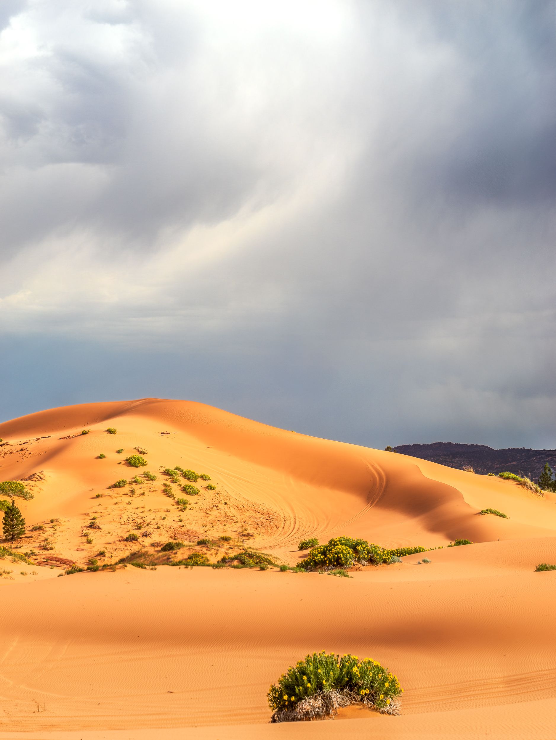 Magnificent Photos, Download The BEST Free Magnificent Stock Photos ...
