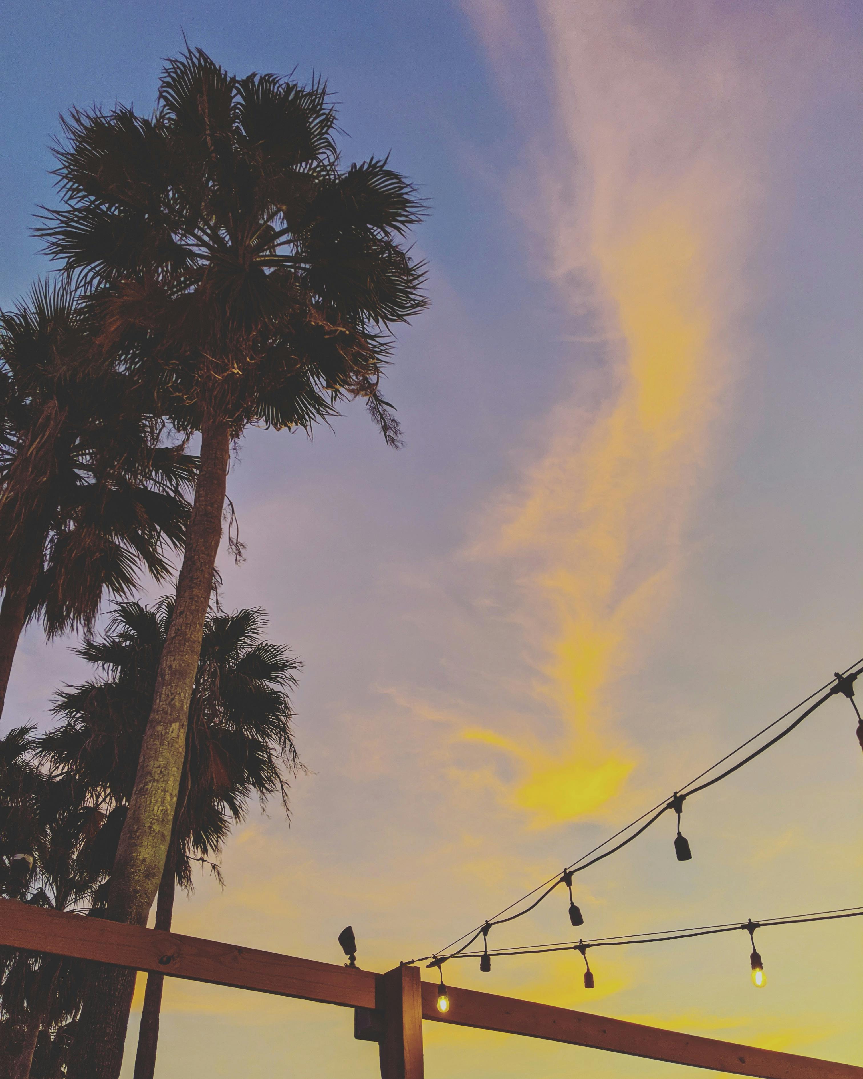 Philip Clark - Photography