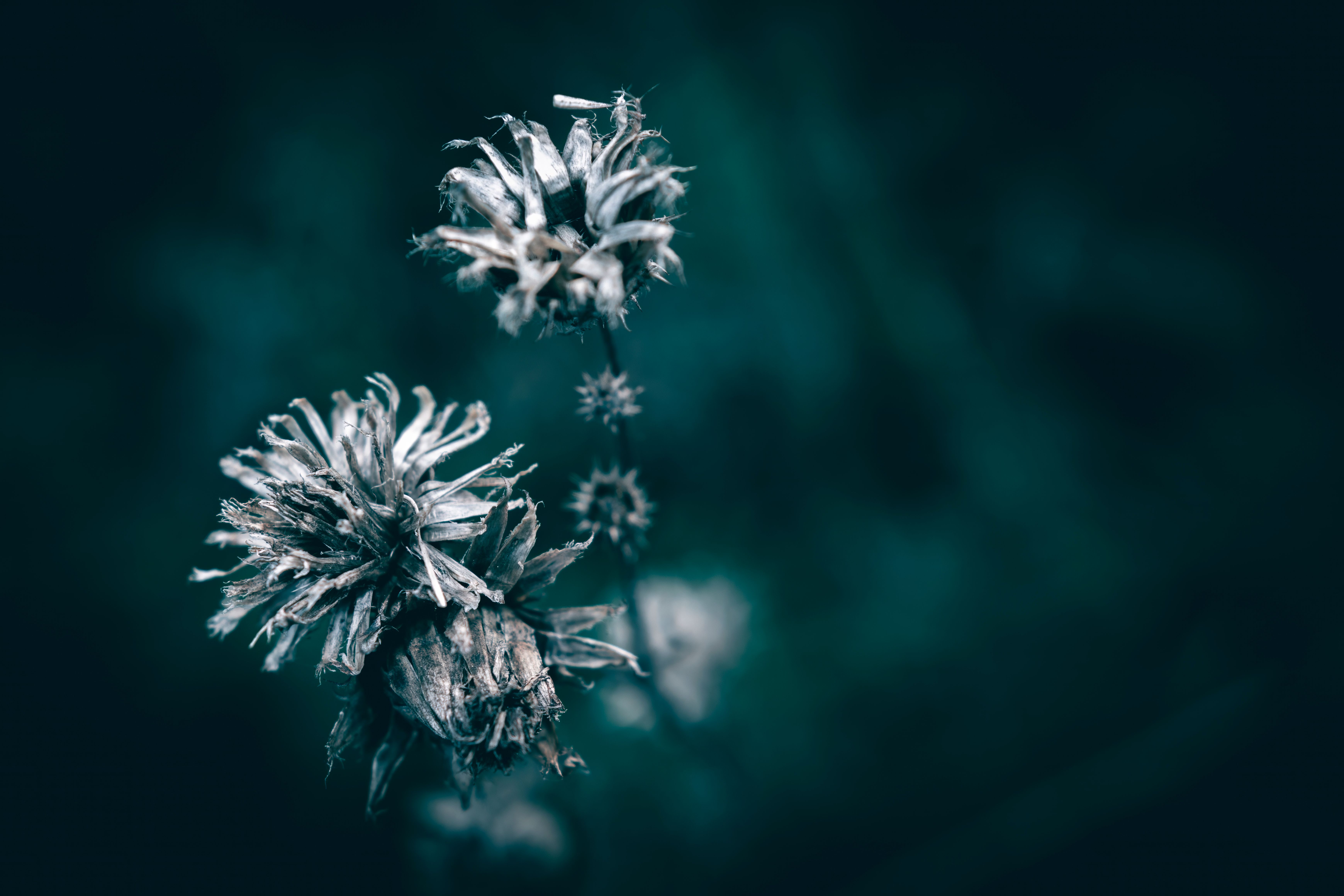 Trendy Background Photos, Download The BEST Free Trendy Background ...