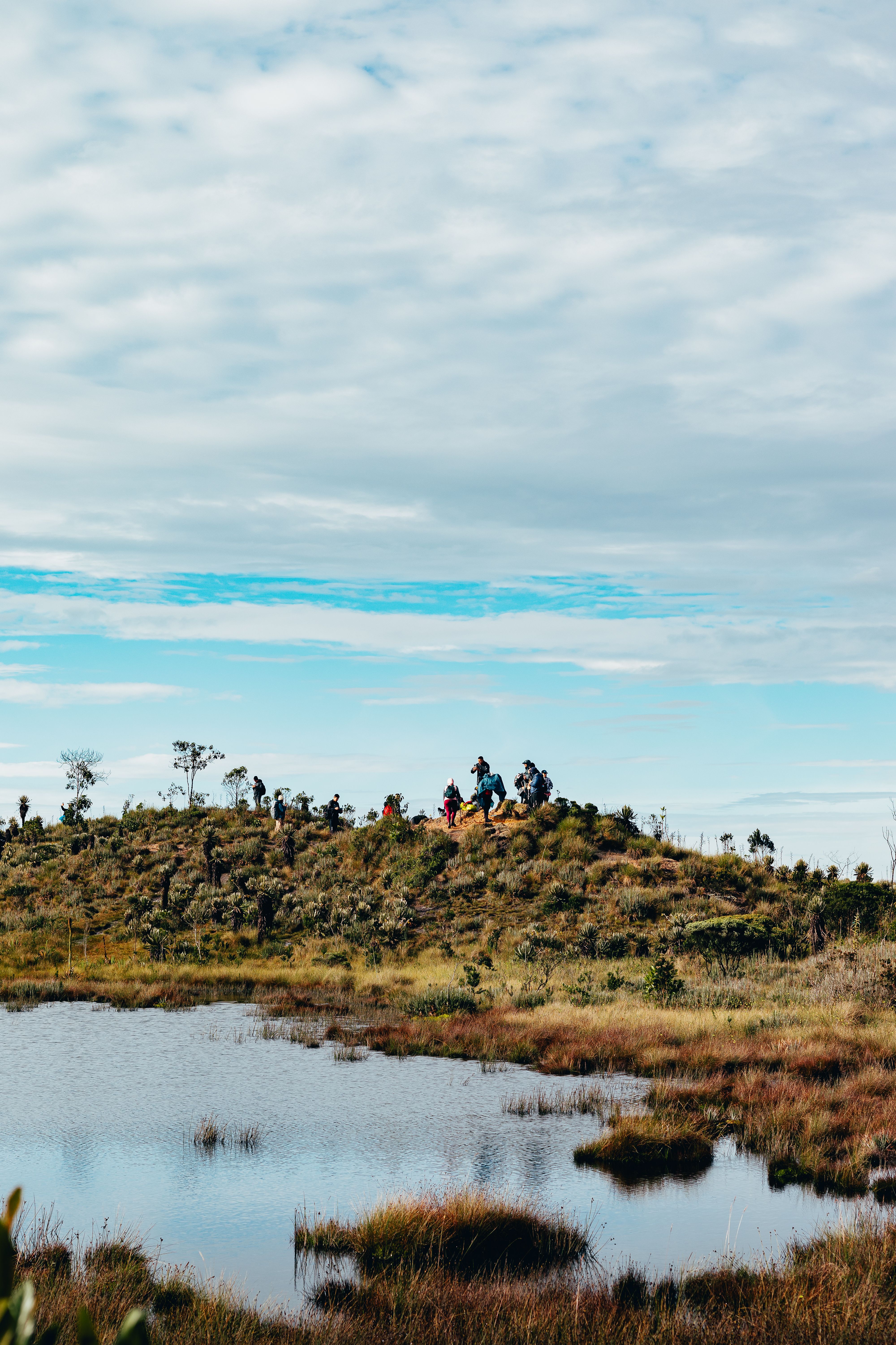 Scenic Paramo Landscape with Hikers in El Paramo · Free Stock Photo