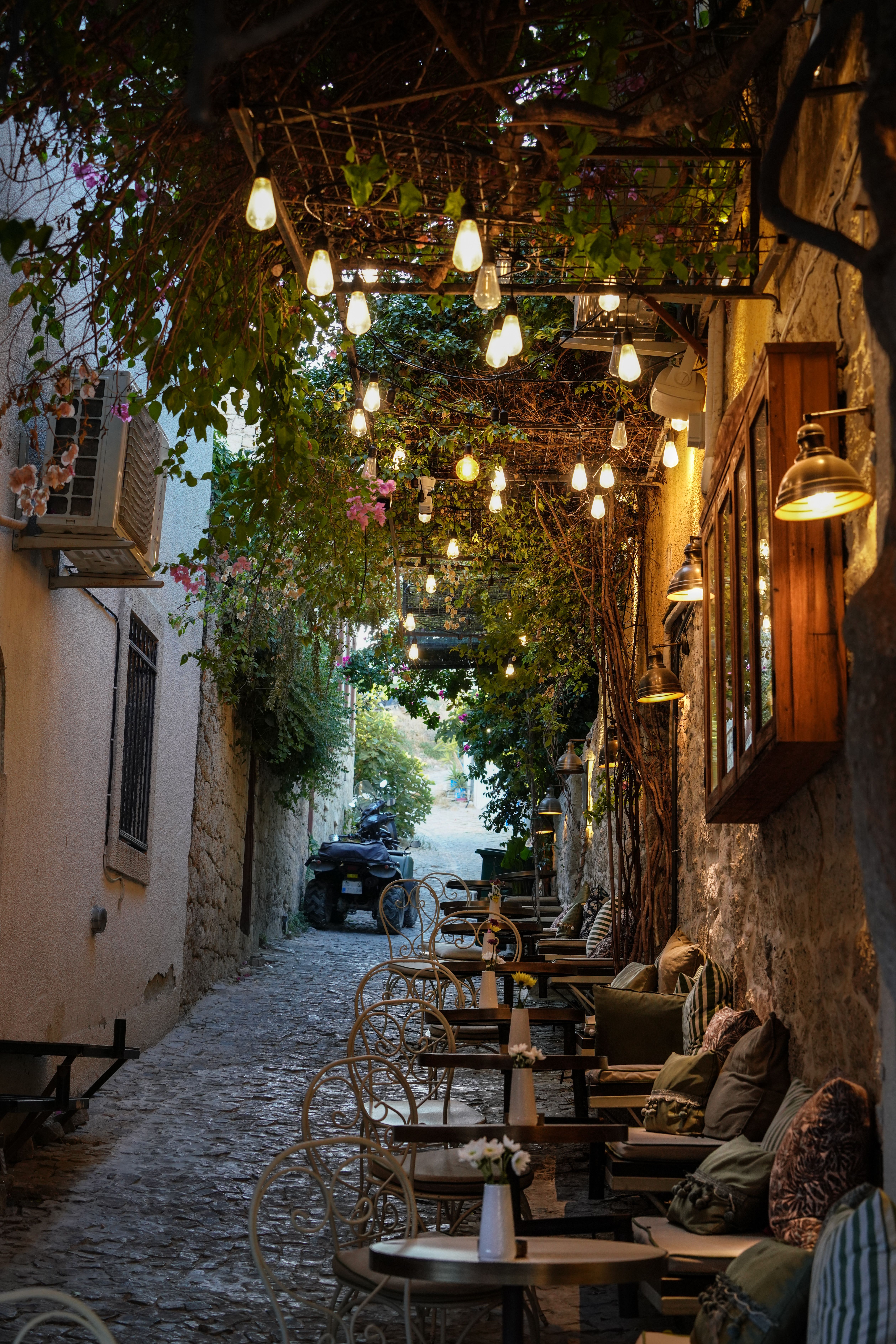 Free Quaint café alley adorned with string lights and flowers, creating ...