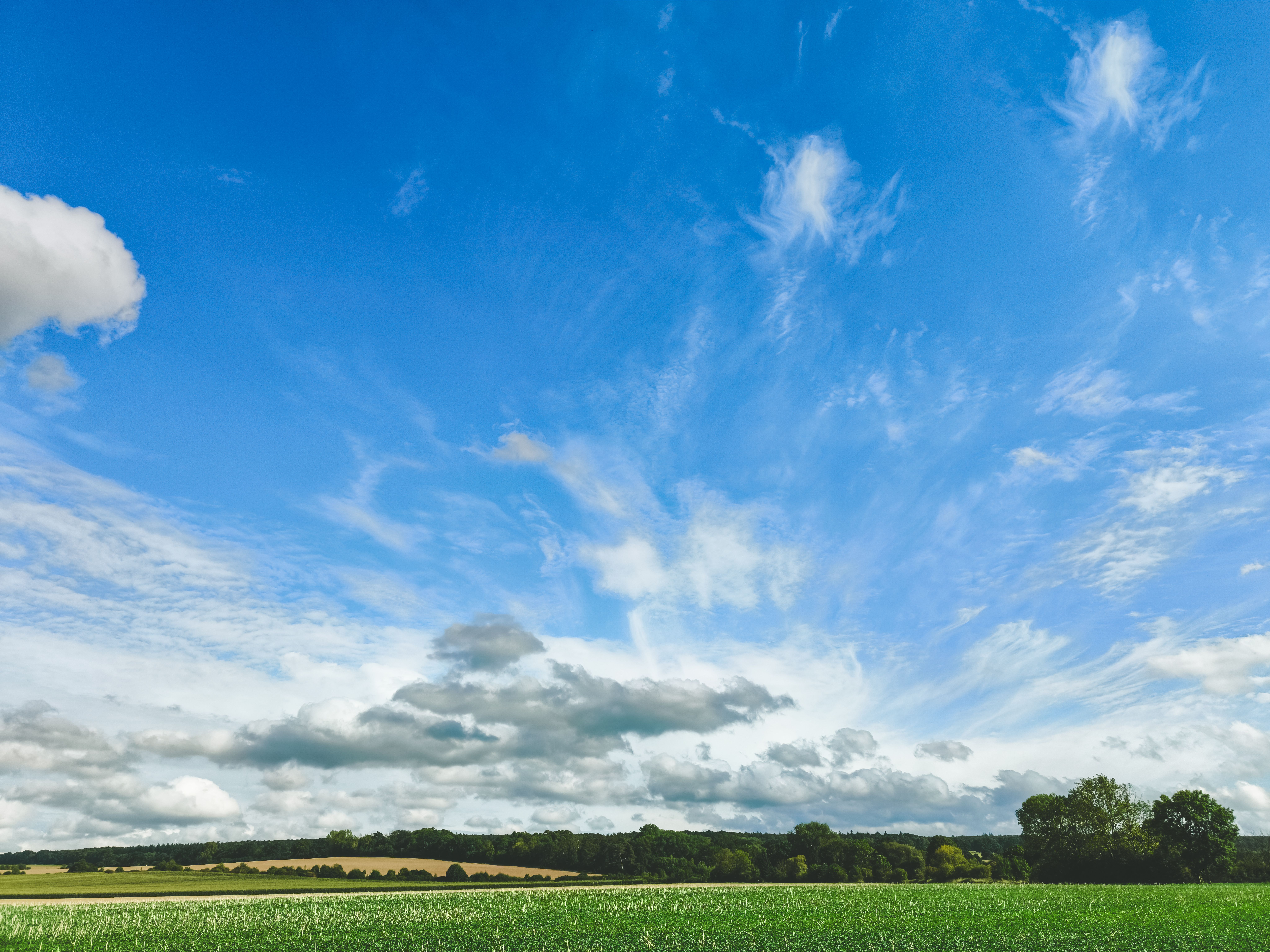 Sunny Field with Expansive Blue Sky · Free Stock Photo