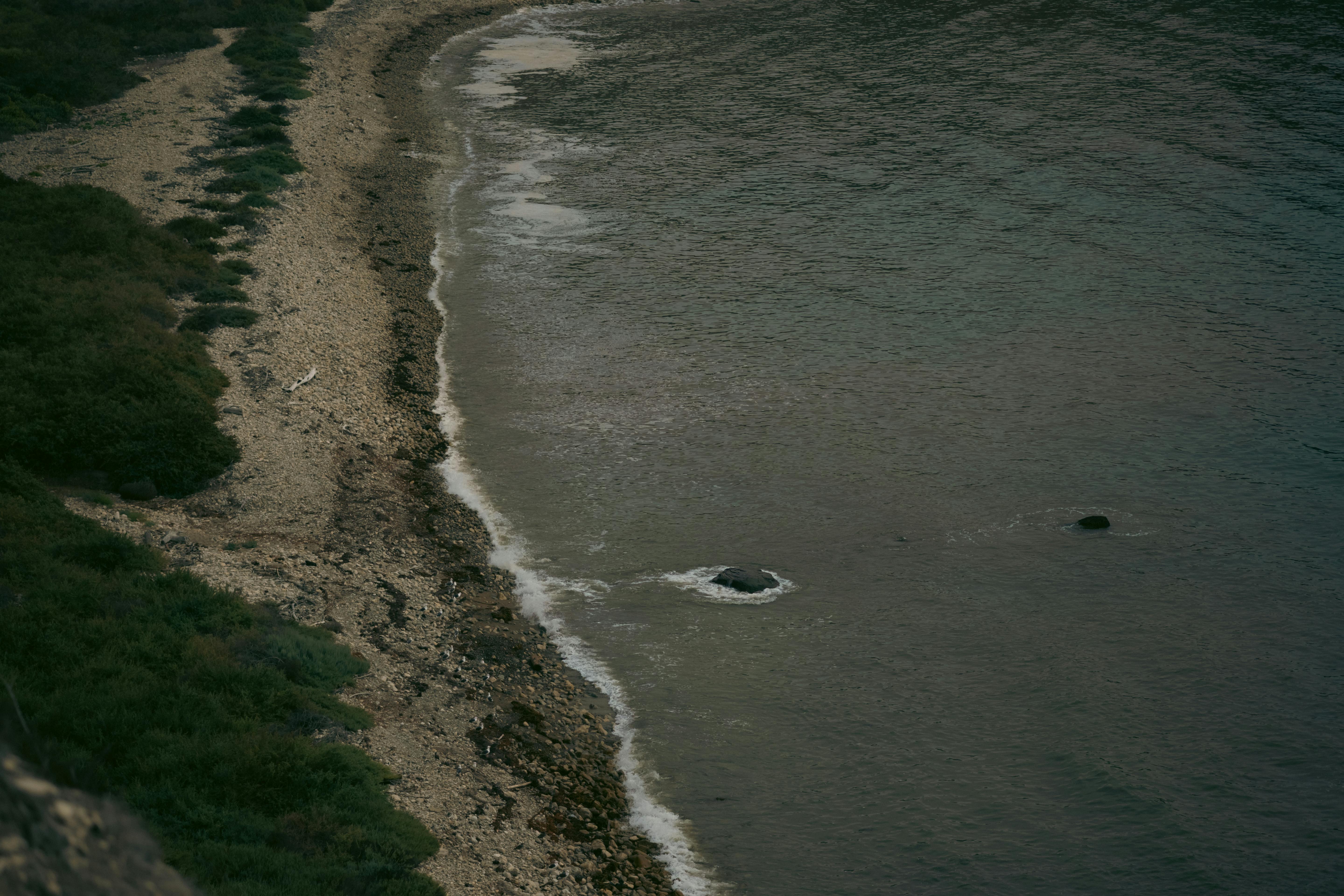 Techy Background Photos, Download The BEST Free Techy Background Stock ...