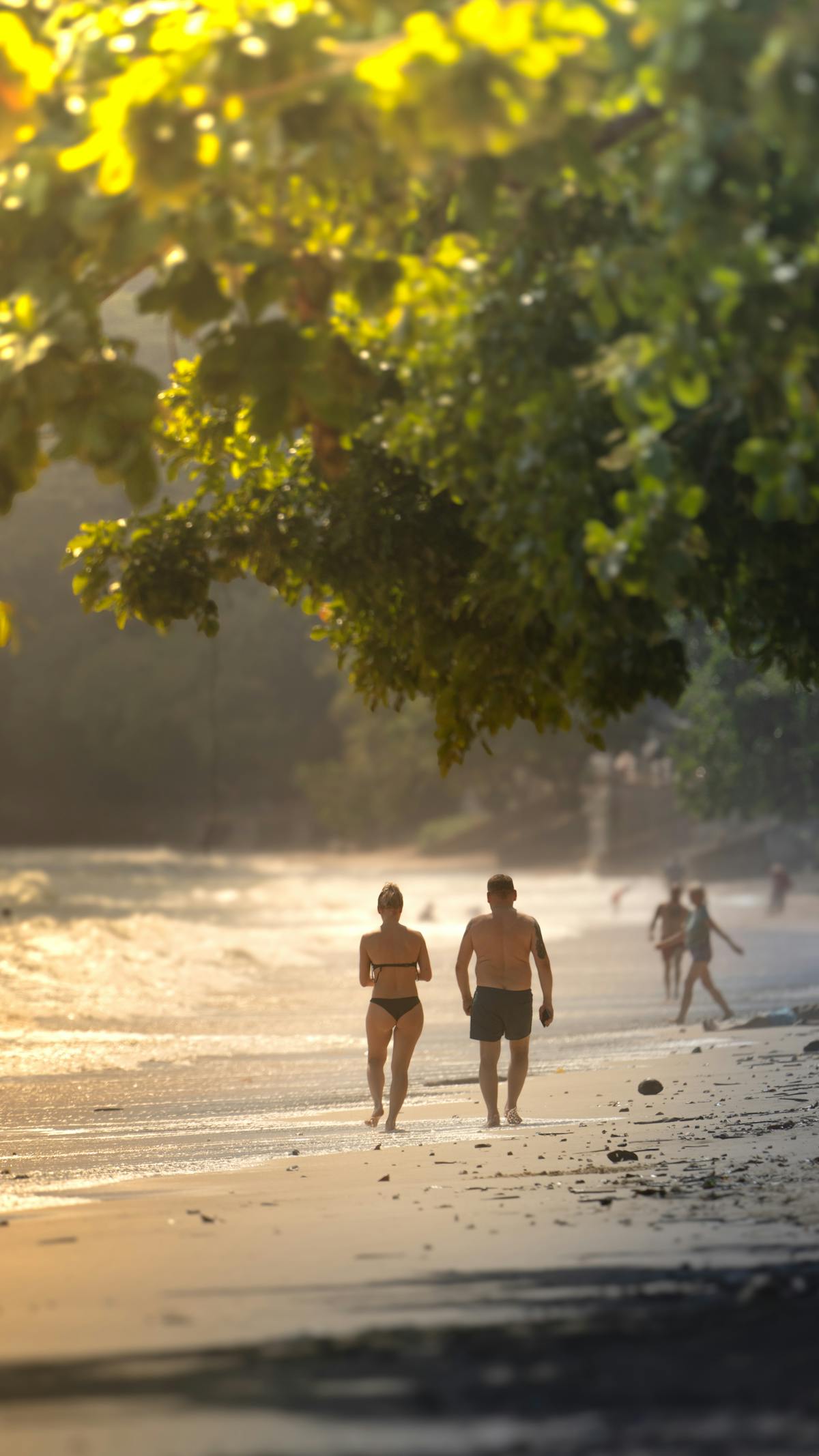 Emma+Navarro+Tennis+Player+Bikini Photos, Download The BEST Free Emma ...