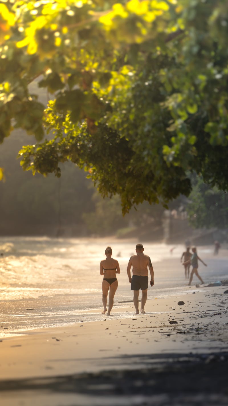 Kim+Guilfoyle+Bikini Photos, Download The BEST Free Kim+Guilfoyle ...