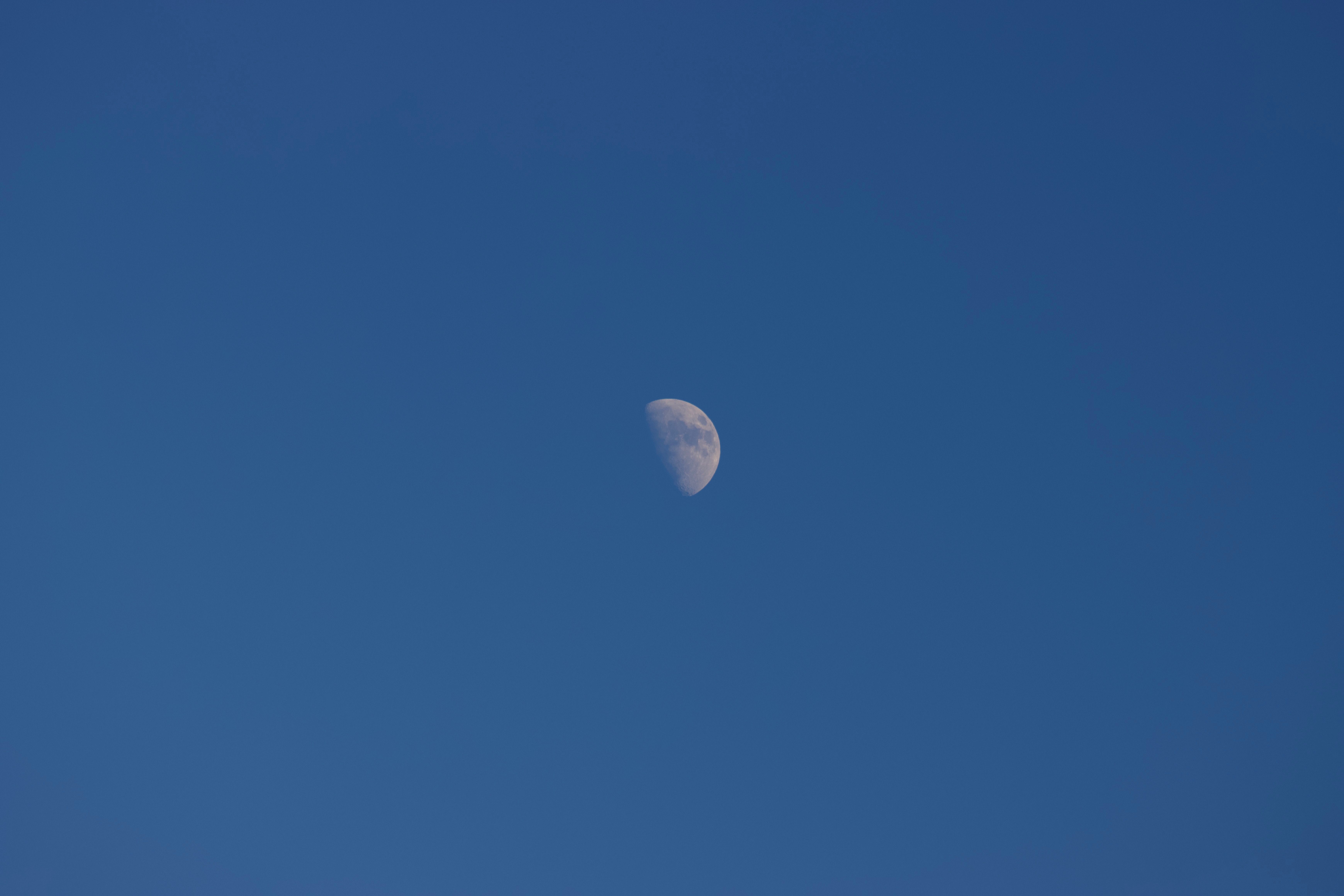 Bright Half Moon in Clear Blue Sky · Free Stock Photo