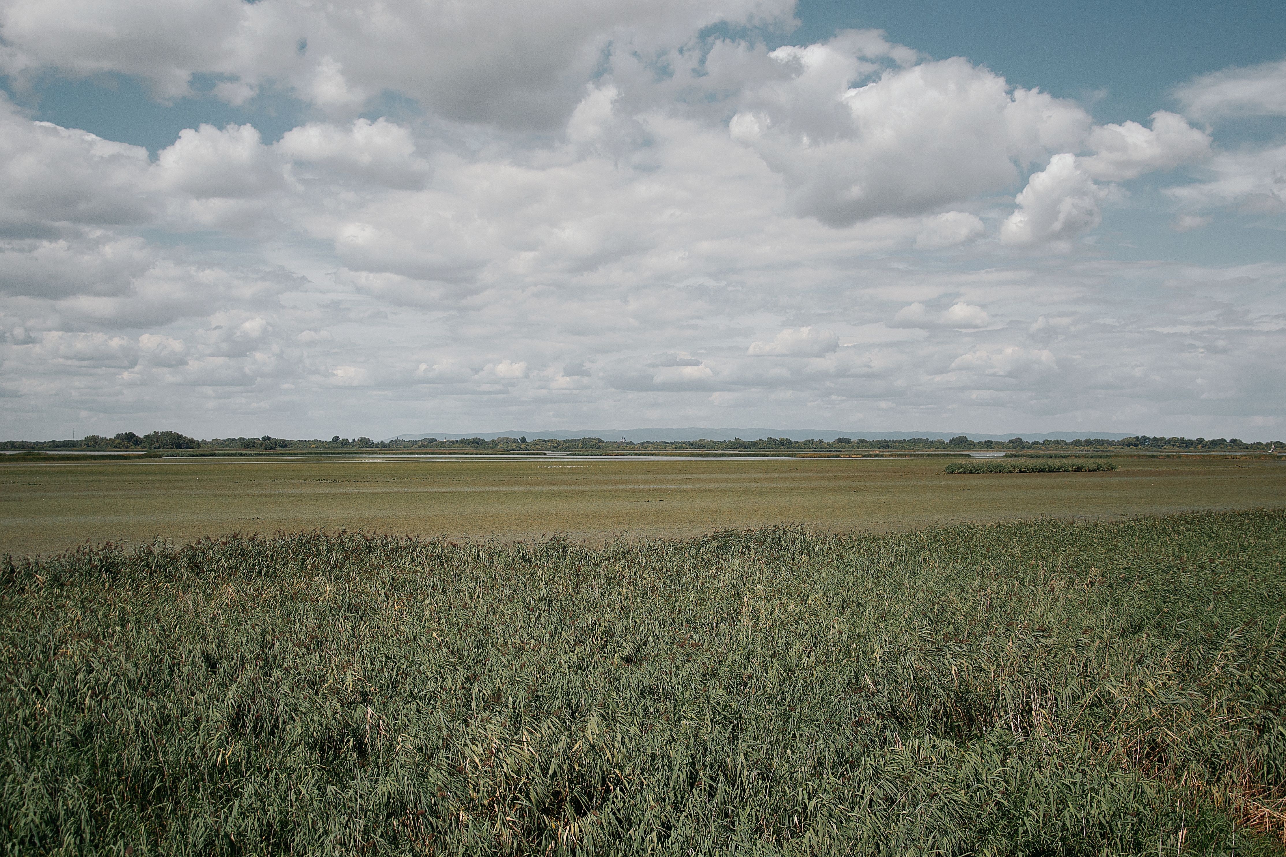 Vast Hungarian Landscape under Cloudy Sky · Free Stock Photo
