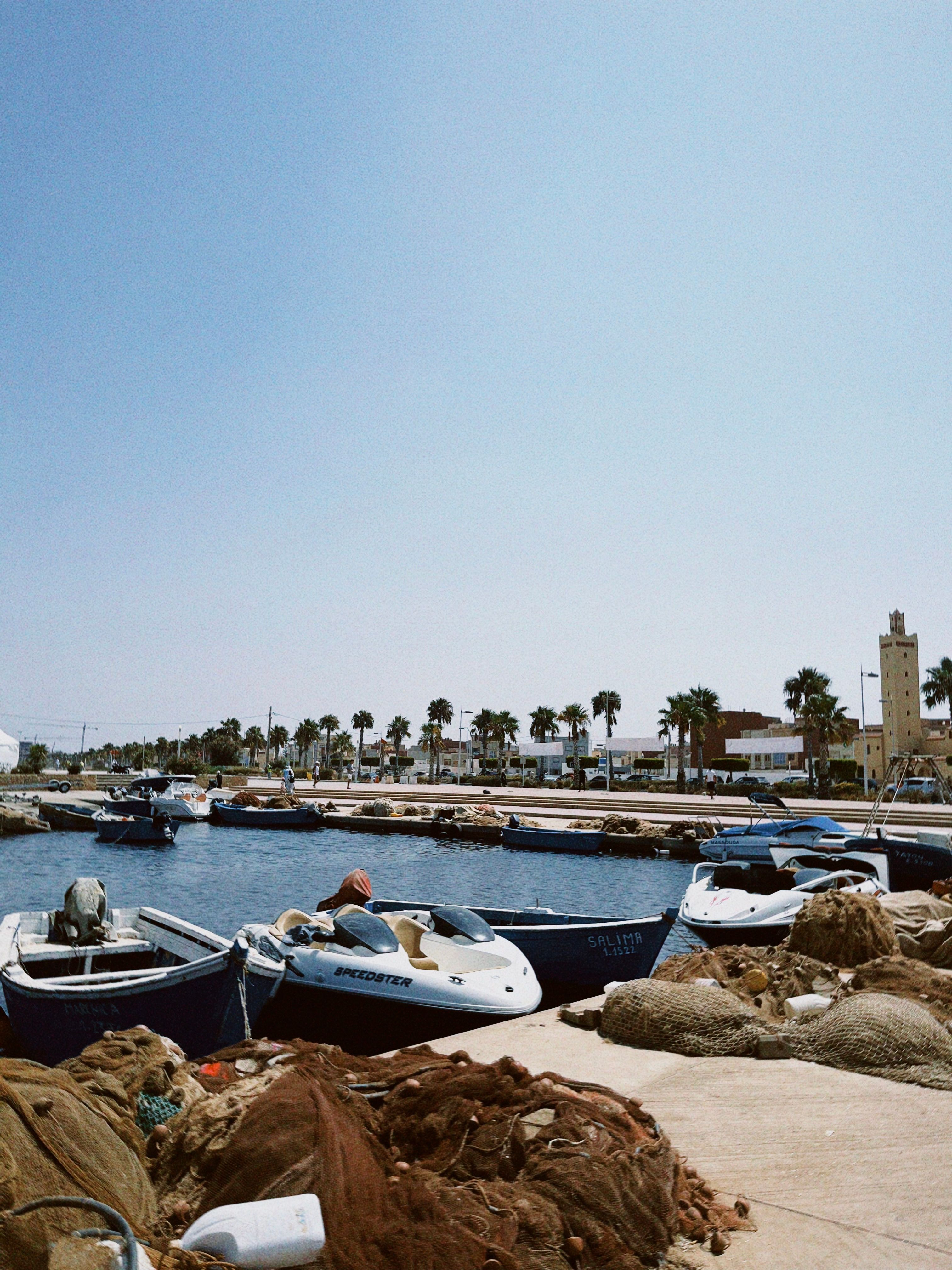 Scenic Coastal Marina with Boats and Palms · Free Stock Photo