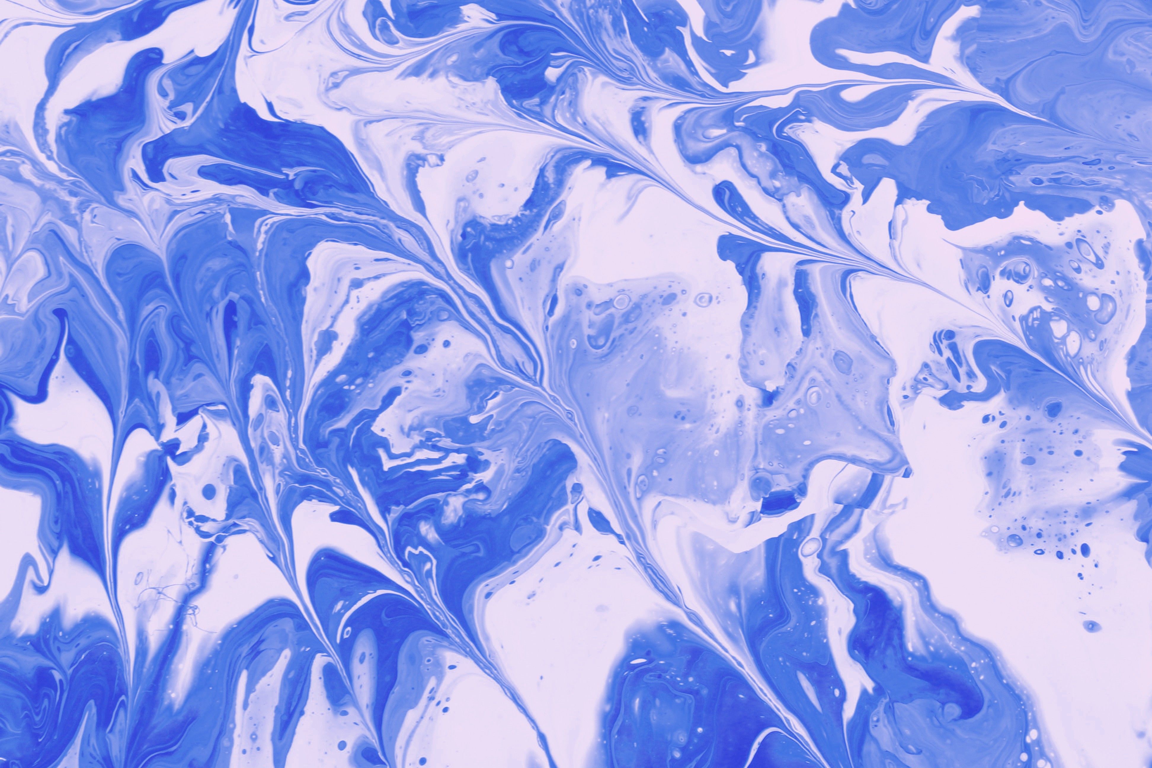 A circular artistic paint splashes · Free Stock Photo