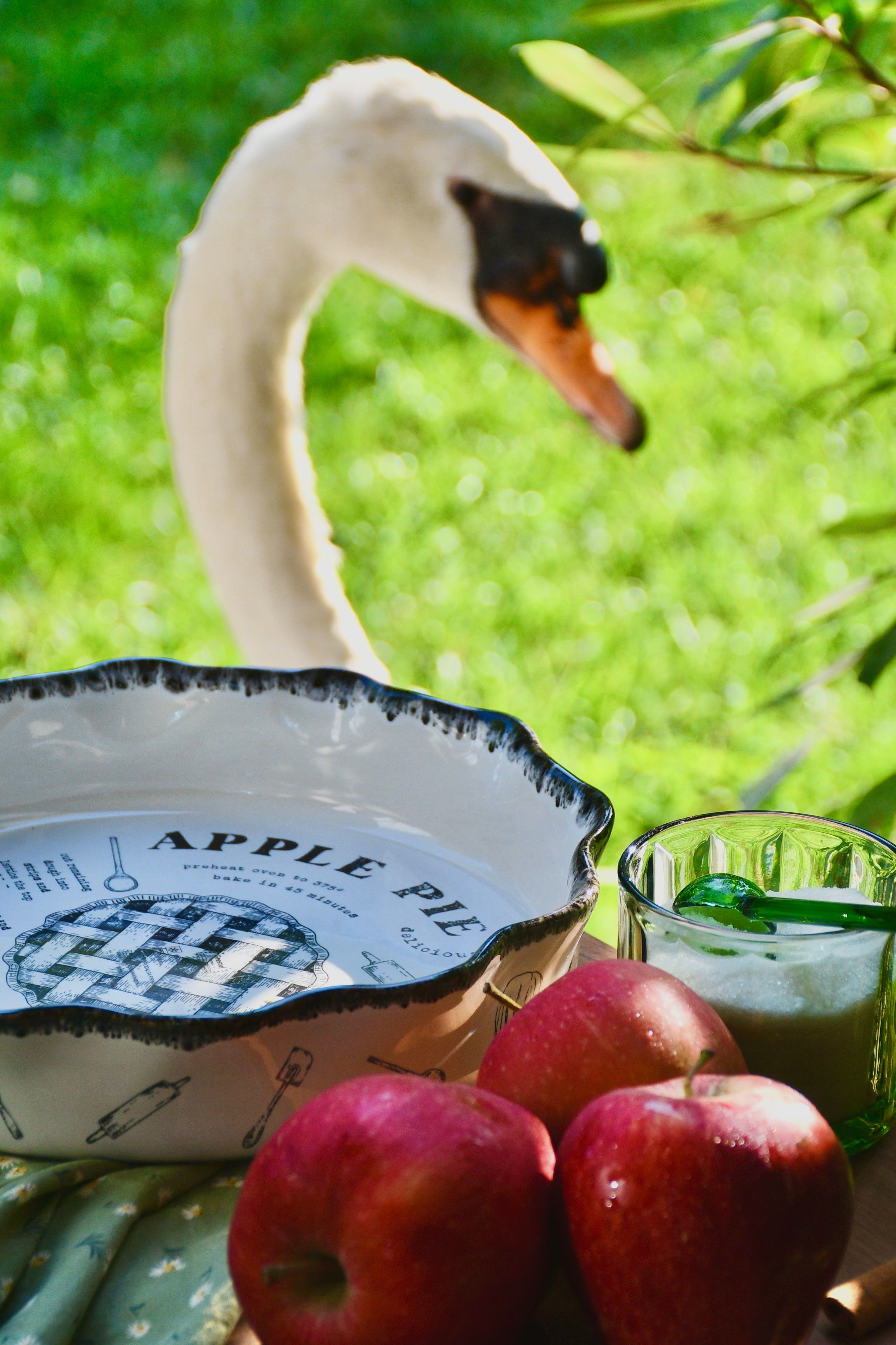 Kitchenware Photos, Download The BEST Free Kitchenware Stock Photos ...