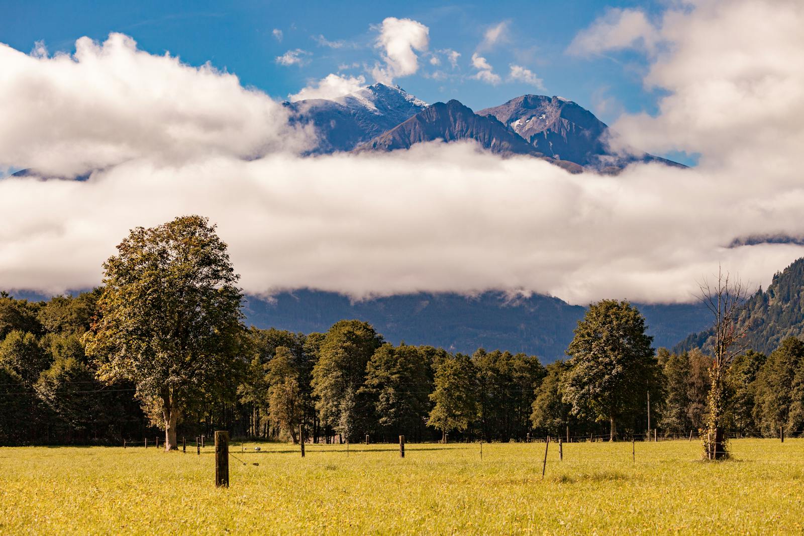 Outdoor Scenery Photos, Download The BEST Free Outdoor Scenery Stock ...