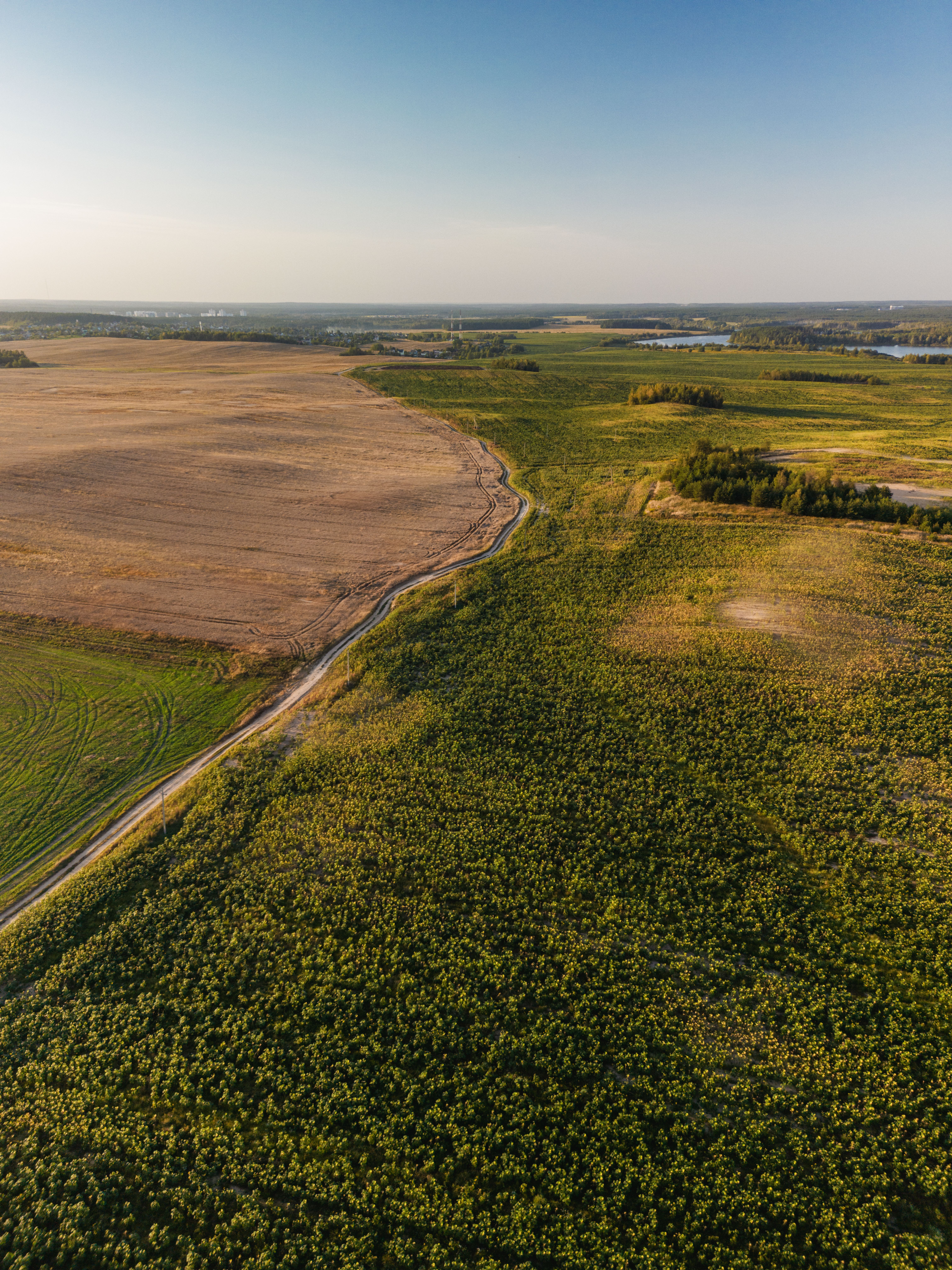 Aerial View of Circular Farming Irrigation Fields · Free Stock Photo