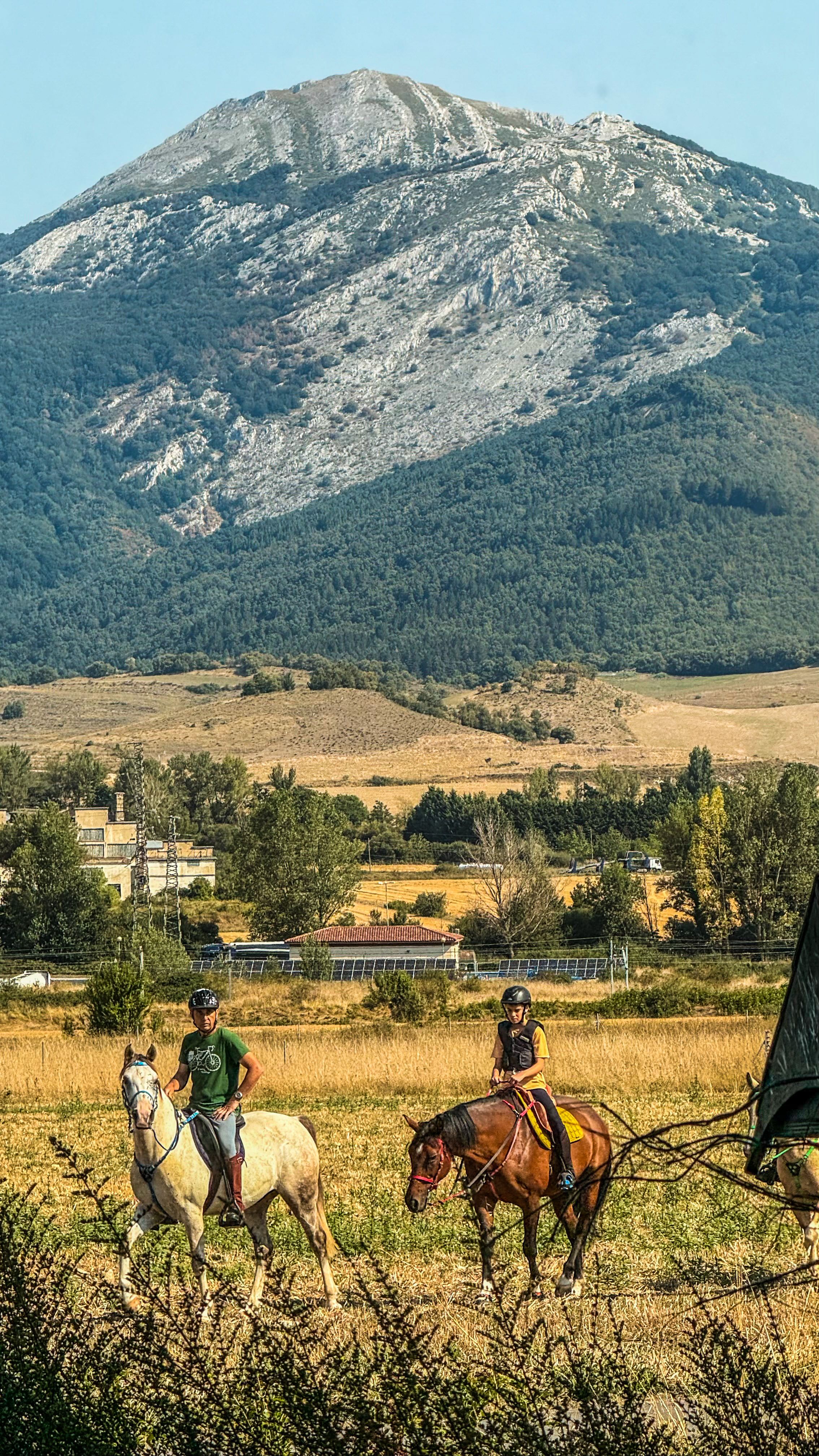 Scenic Horseback Riding in Mountain Landscape · Free Stock Photo