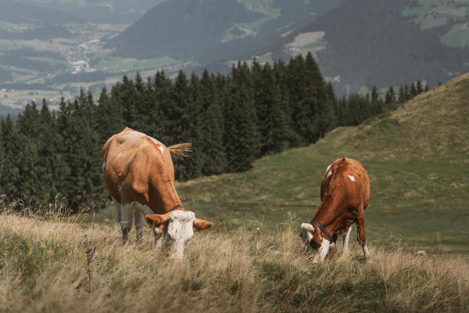 Laptop Wallpaper Lock Screen 4k Photos, Download The BEST Free Laptop ...