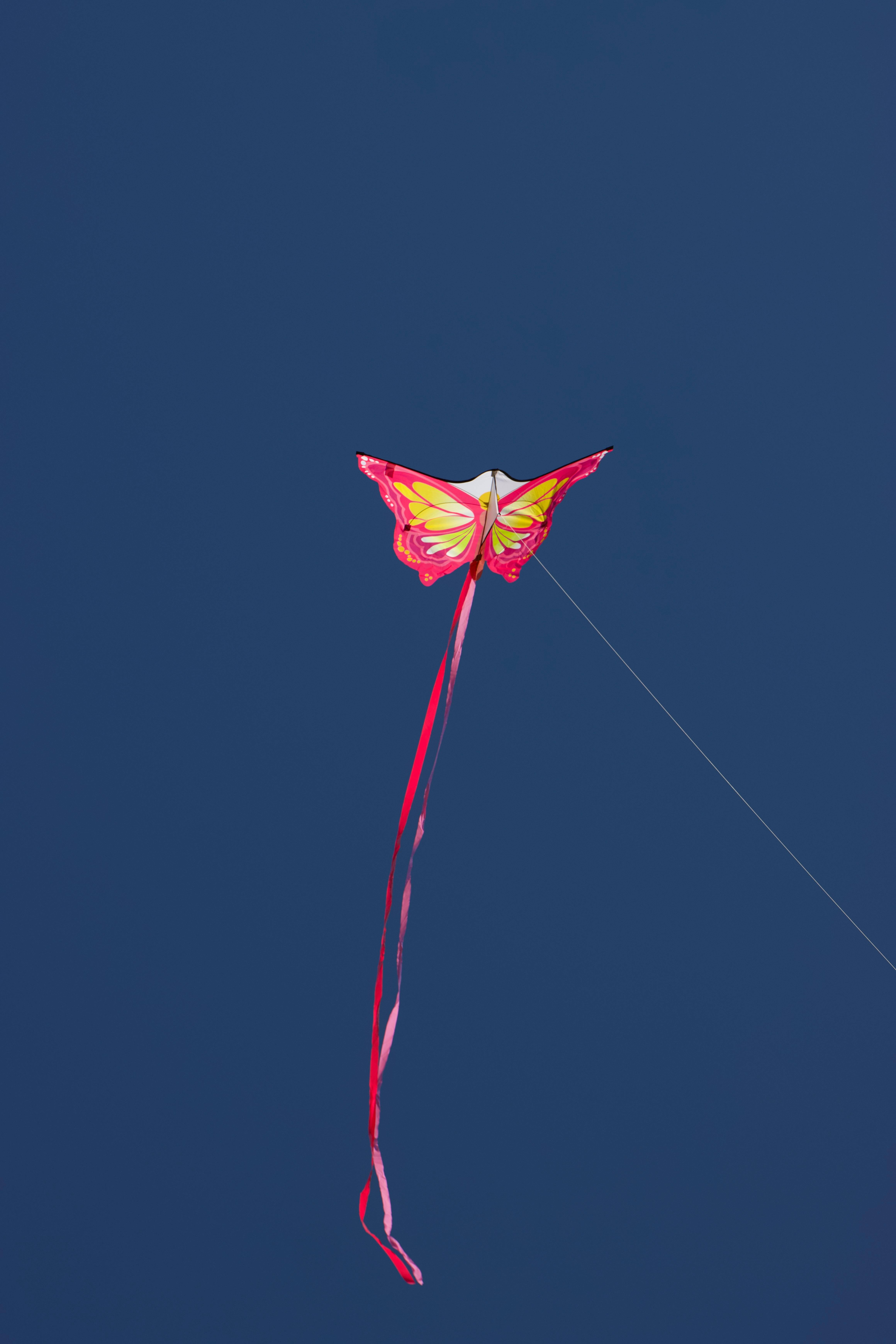 Kite Images Photos, Download The BEST Free Kite Images Stock Photos ...