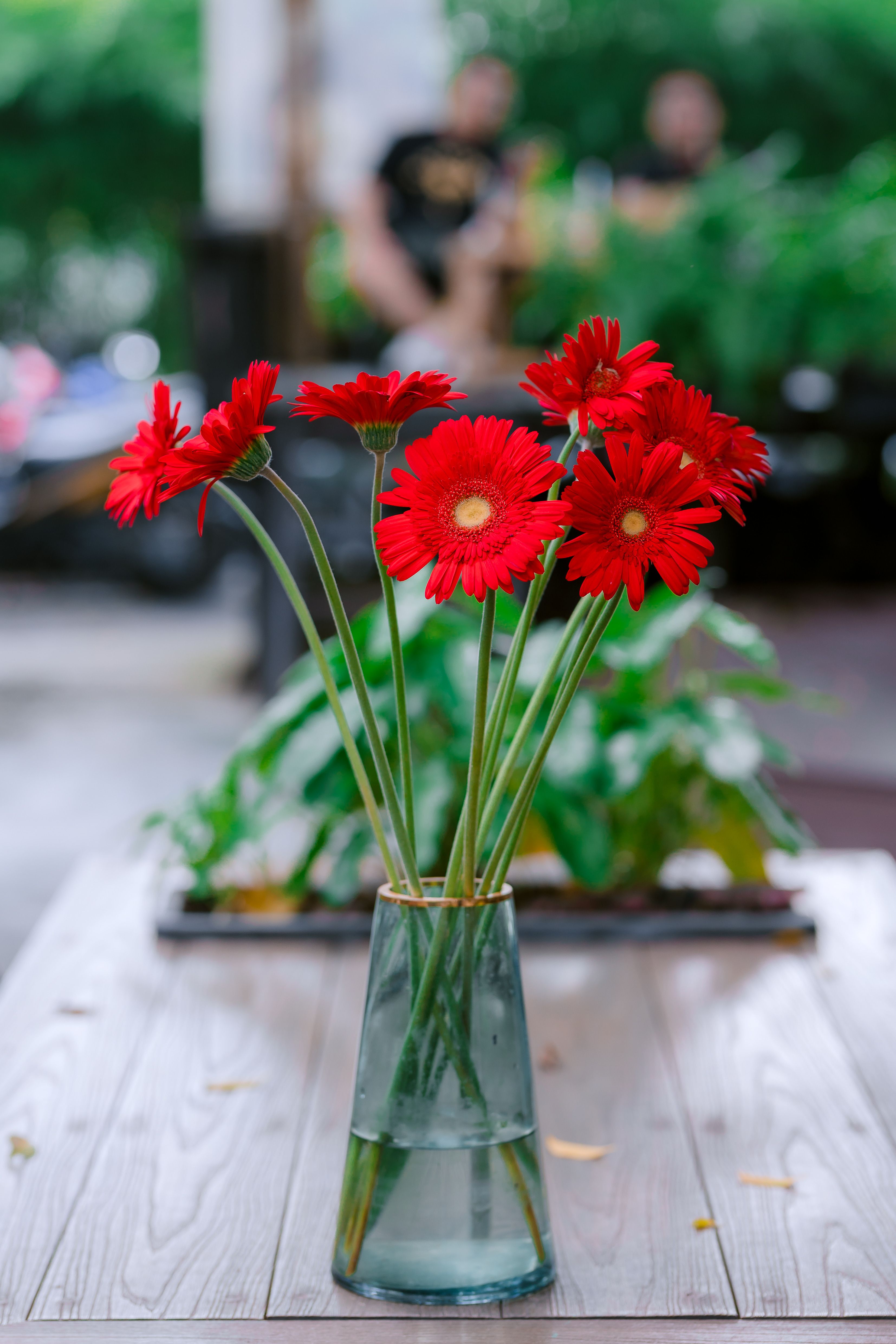 Red Nature Photos, Download The BEST Free Red Nature Stock Photos & HD ...