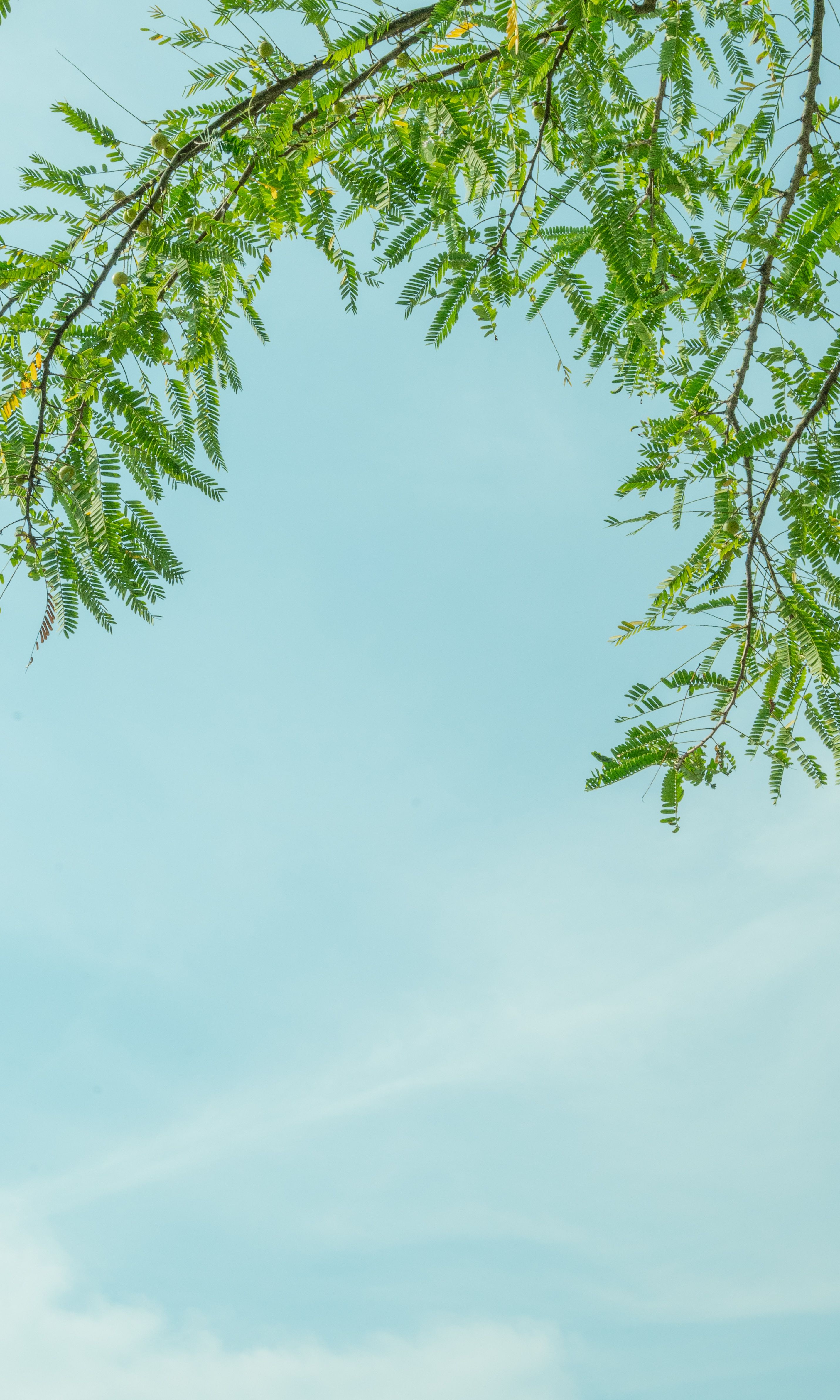 Blue Nature Photos, Download The BEST Free Blue Nature Stock Photos ...
