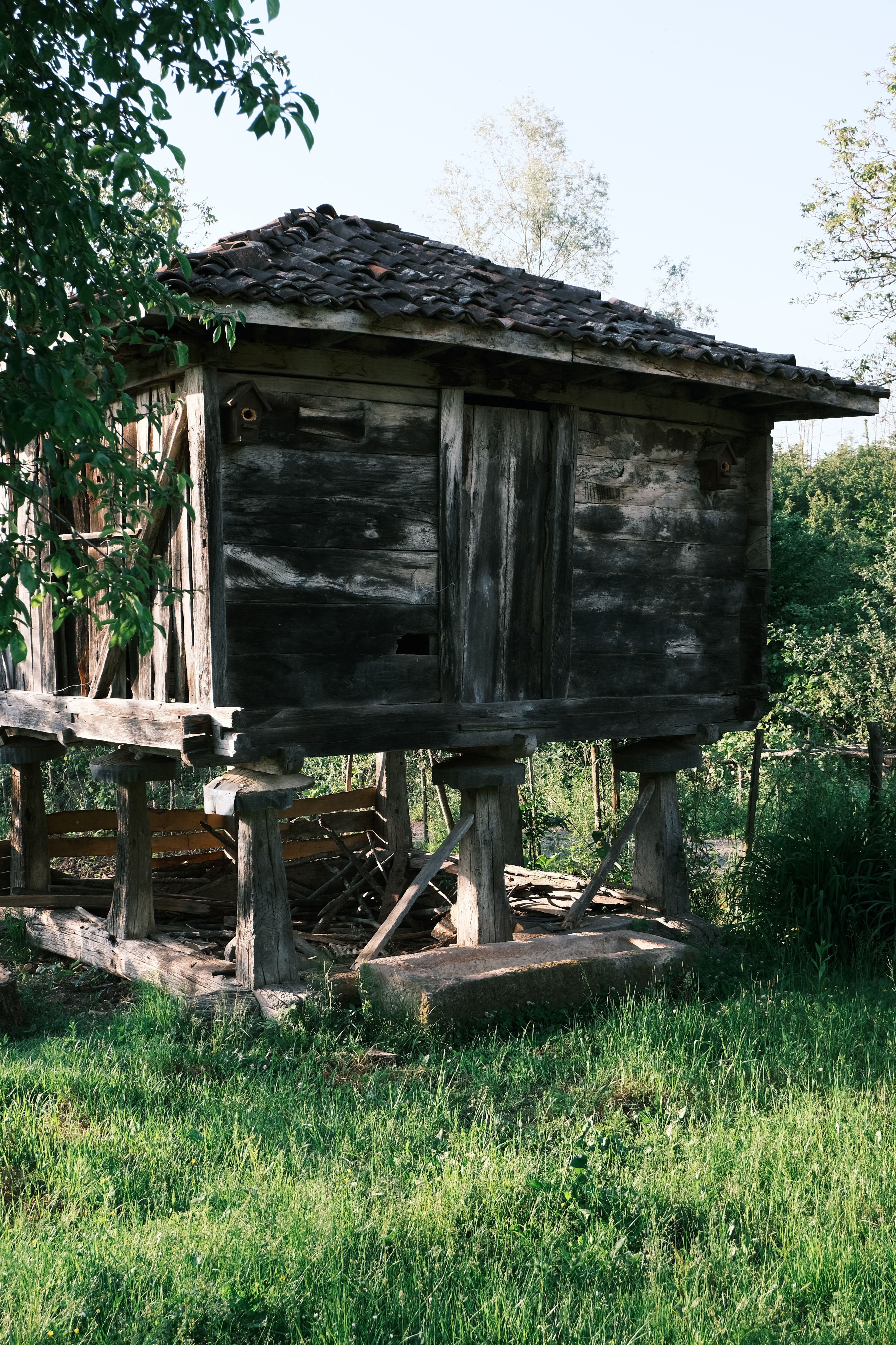 Free Old wooden hut elevated on stilts surrounded by vibrant greenery ...