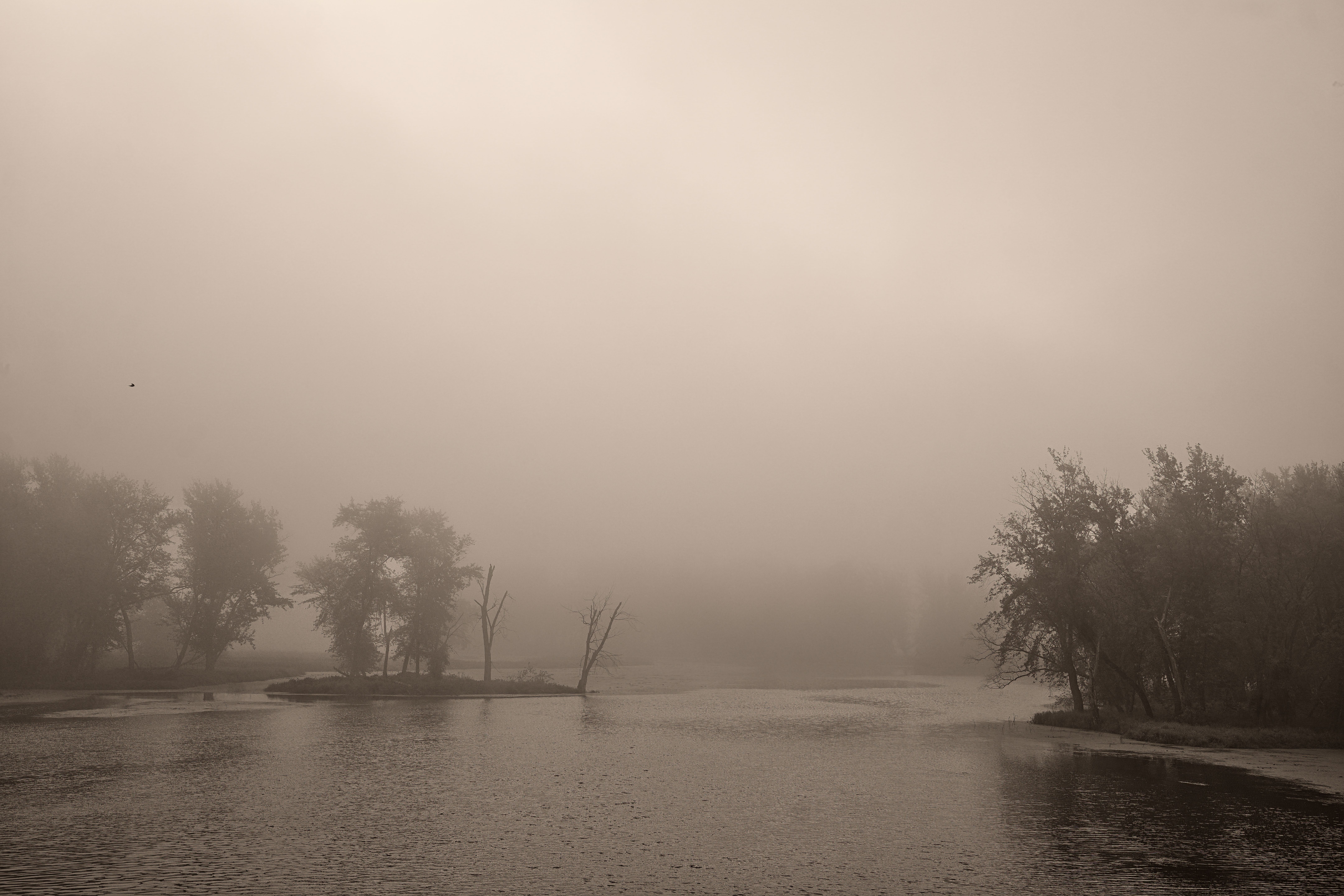 Dull Photos, Download The BEST Free Dull Stock Photos & HD Images