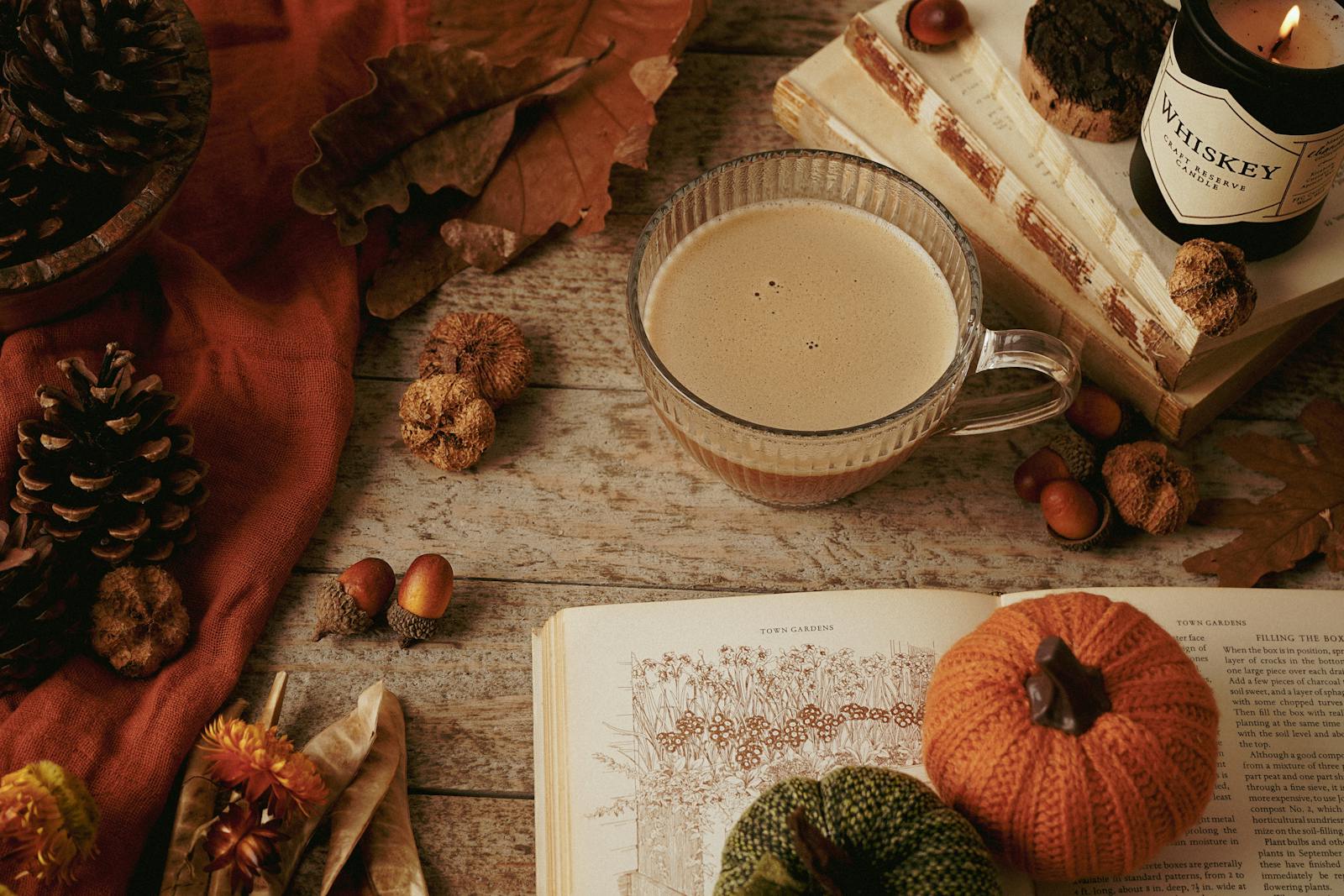 Autumn Scenes Photos, Download The BEST Free Autumn Scenes Stock Photos ...