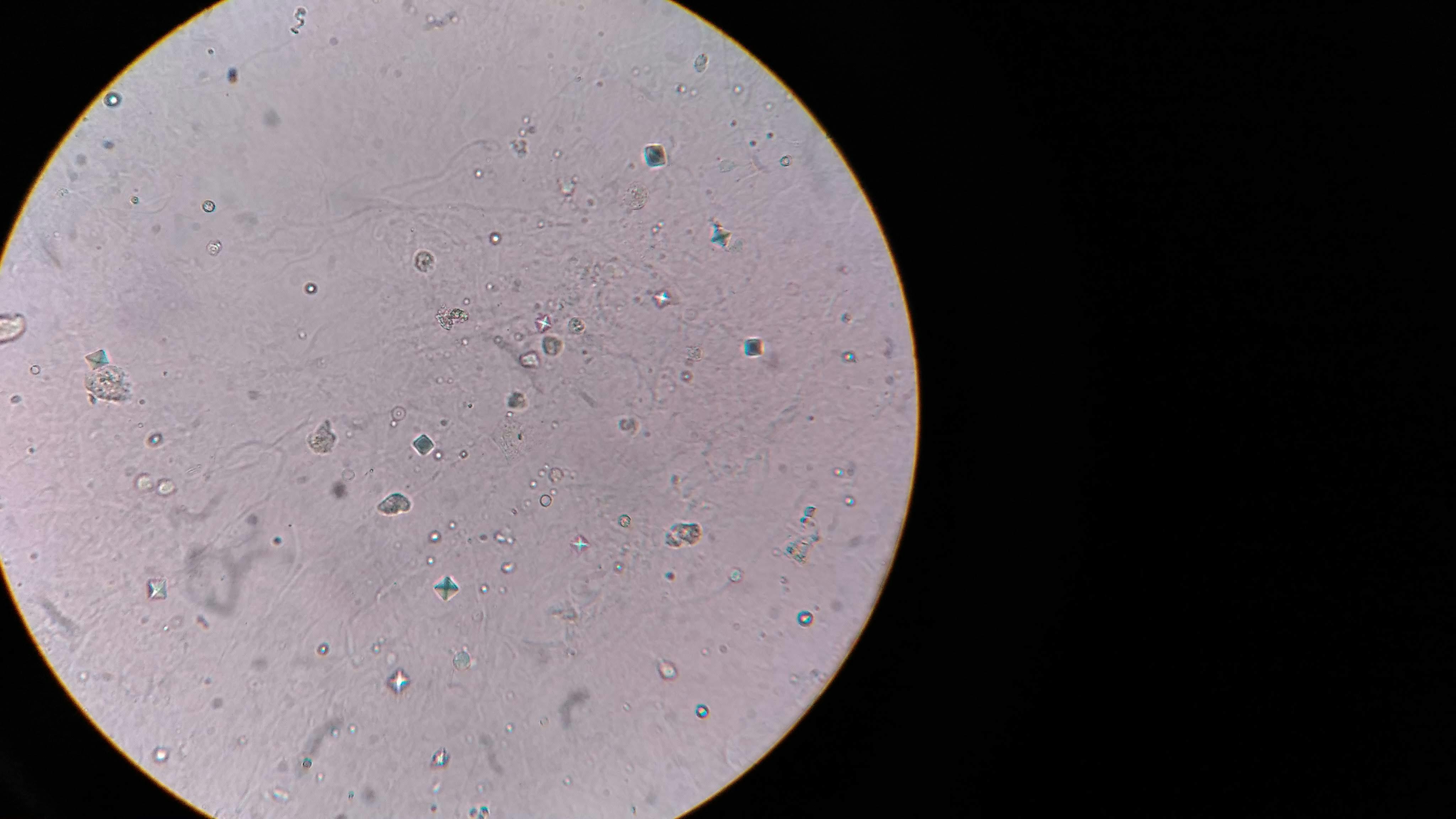 Zoom Backgrounds Walls Photos, Download The BEST Free Zoom Backgrounds ...