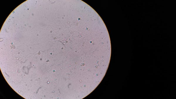 Sample Photos, Download The BEST Free Sample Stock Photos & HD Images