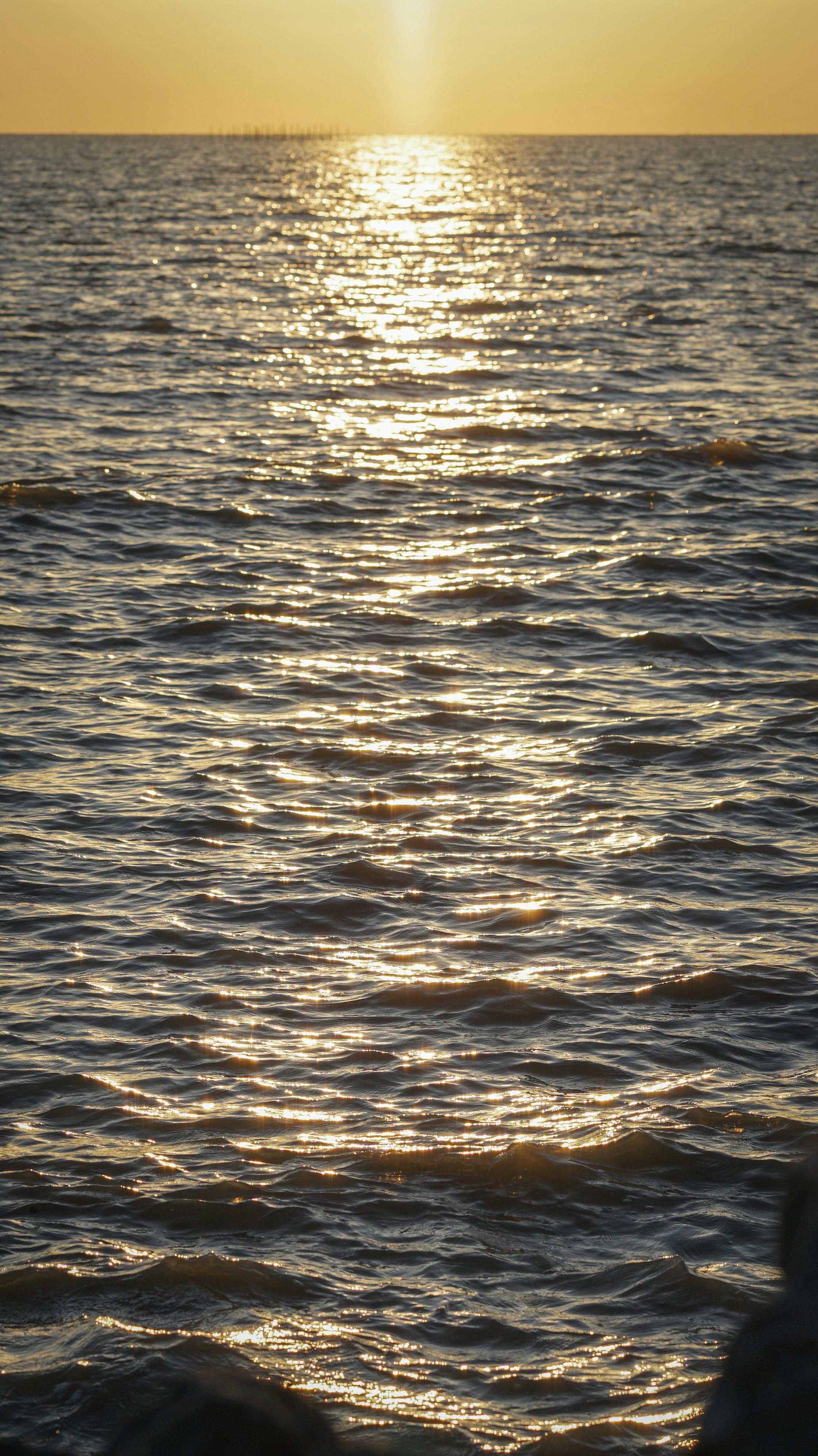 Vertical+Monitor+Wallpaper Photos, Download The BEST Free Vertical ...