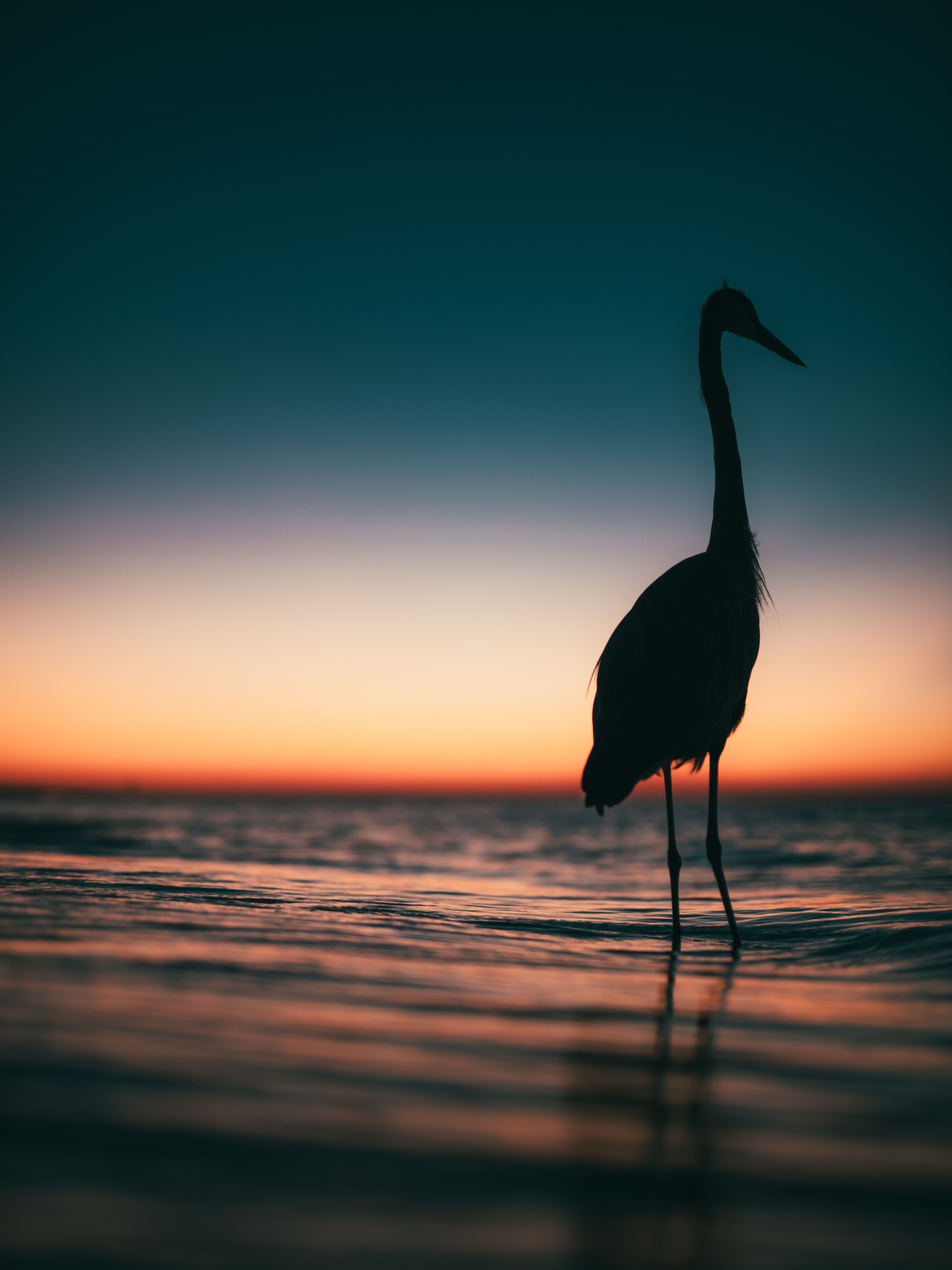 Stillness Photos, Download The BEST Free Stillness Stock Photos & HD Images