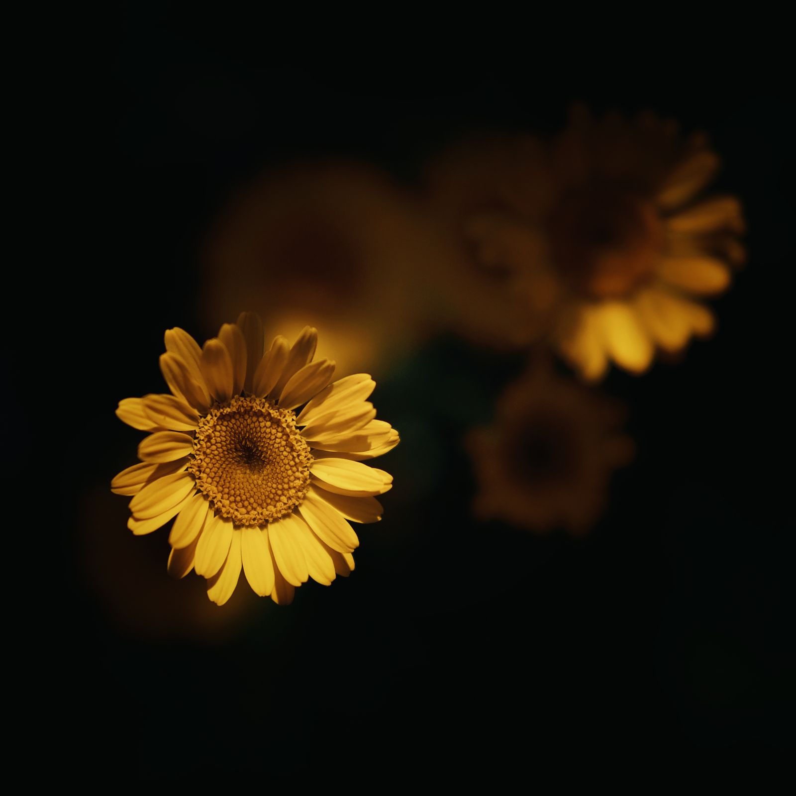 1920 X 480 Photos, Download The BEST Free 1920 X 480 Stock Photos & HD ...